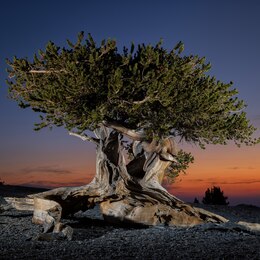 Beautiful Photos Of The World S Oldest And Most Majes Vrogue co