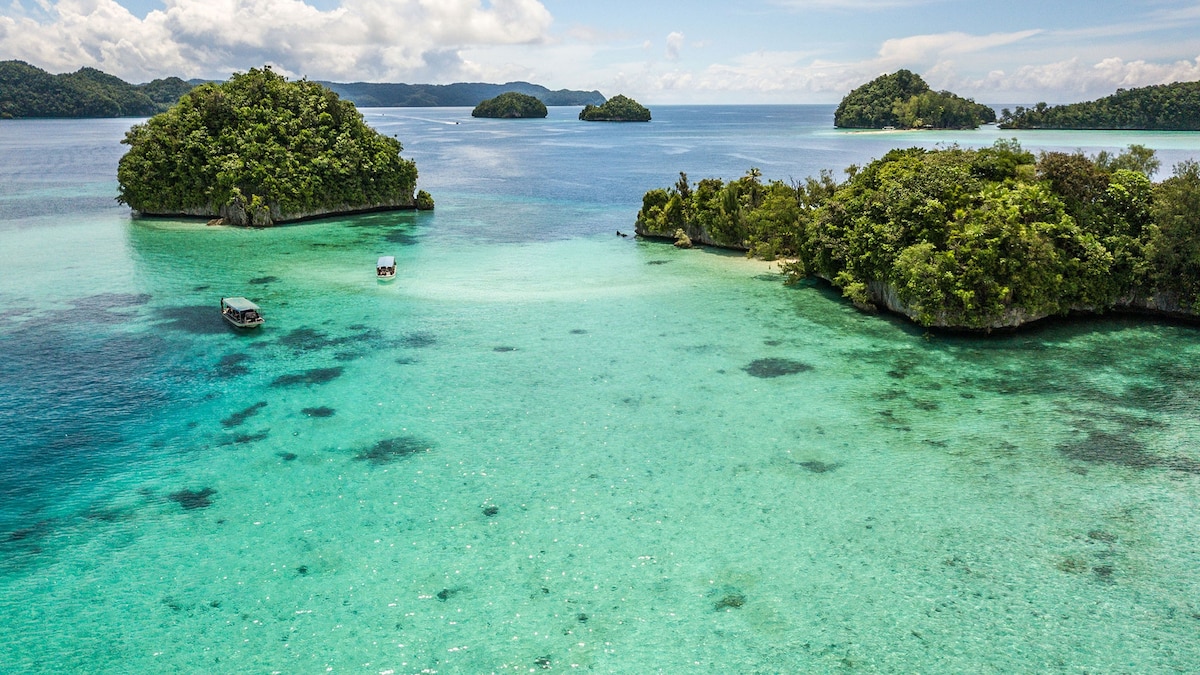 Palau Now Requires an "Eco-Pledge" from All Visitors to Help Preserve ...
