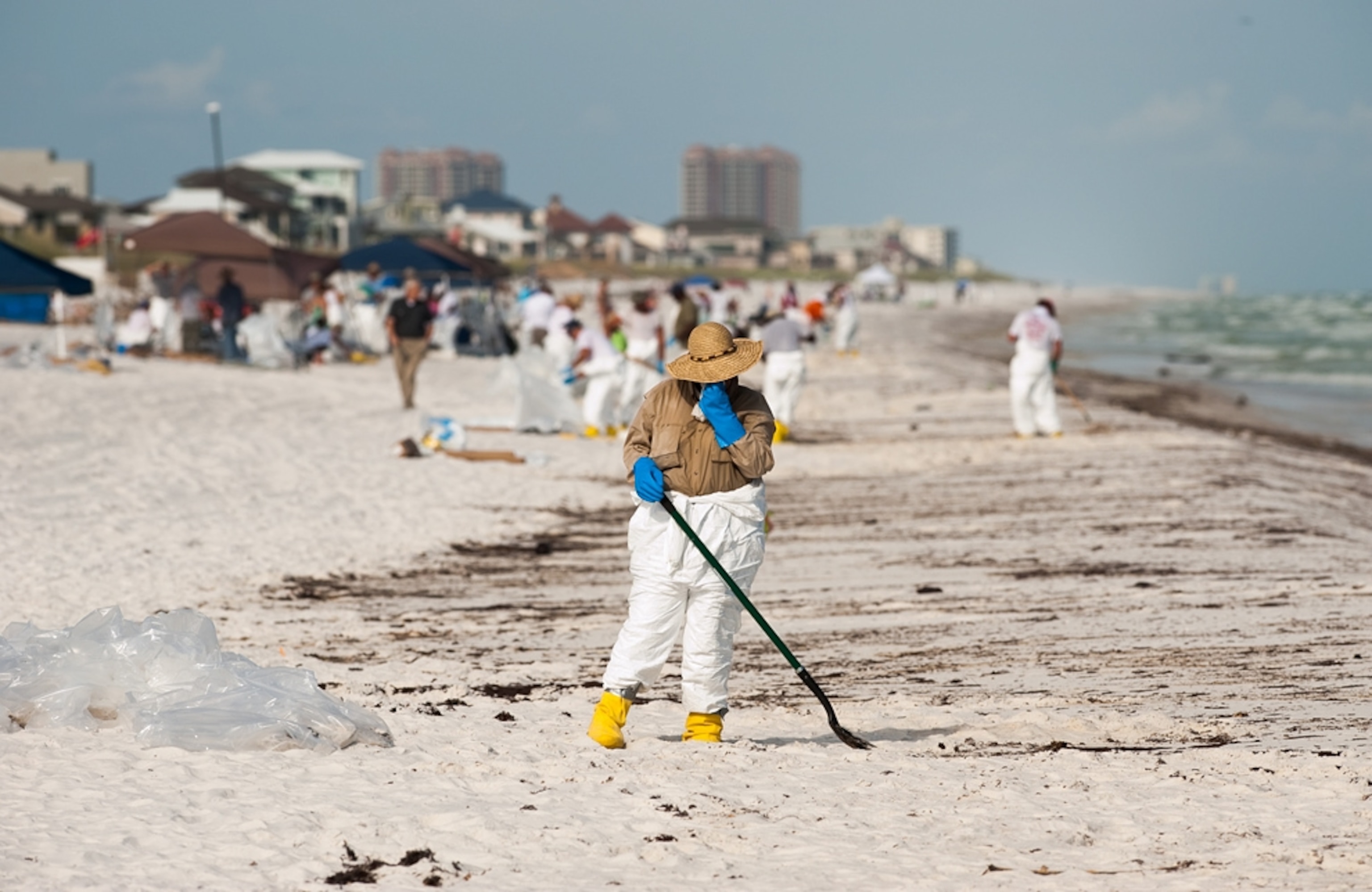 Pictures: Gulf Oil Coats Popular Florida Beach | National Geographic