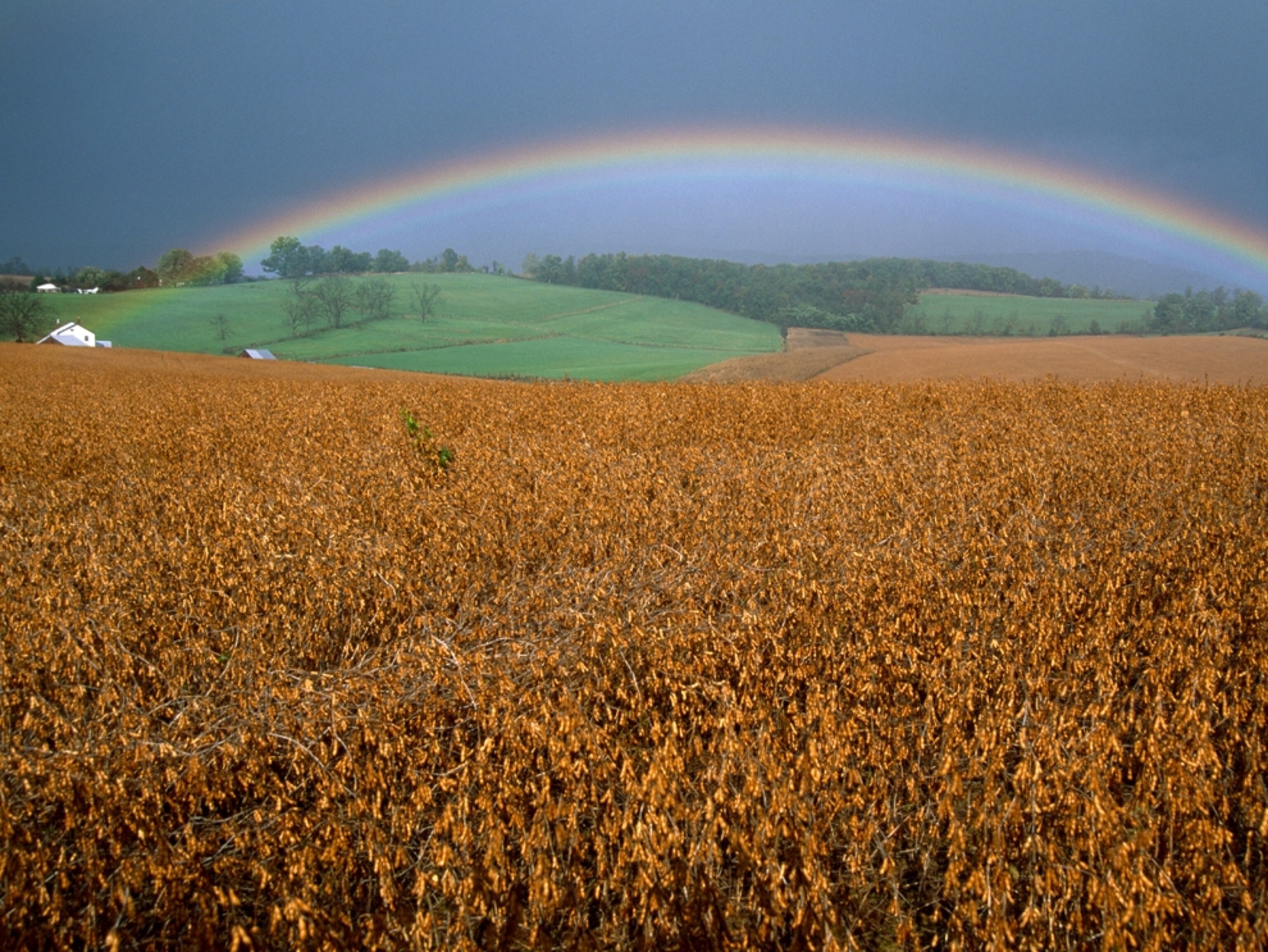 Rainbow Photos, Pictures -- National Geographic