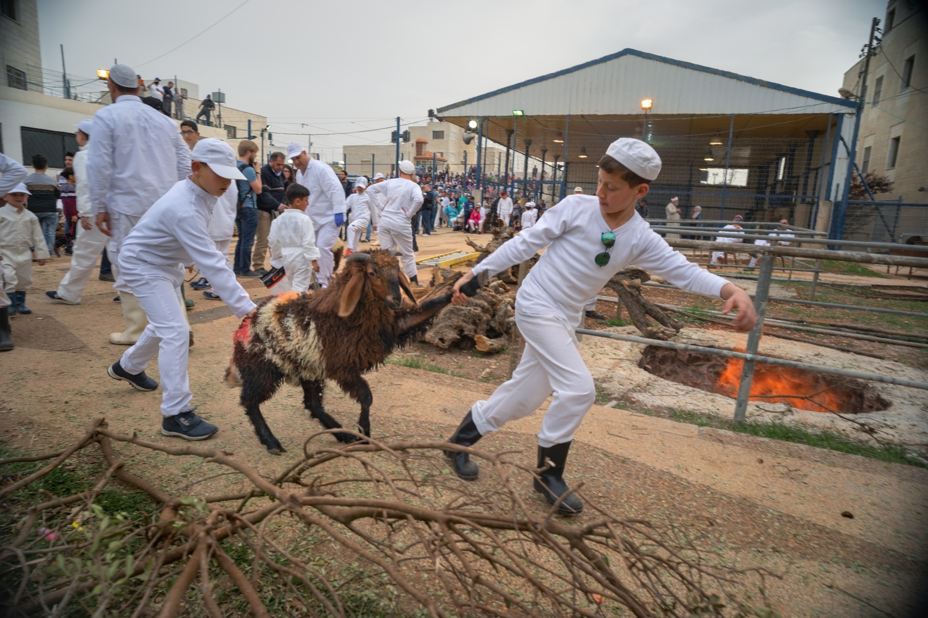 The very ancient Passover of the tiny Samaritan religion