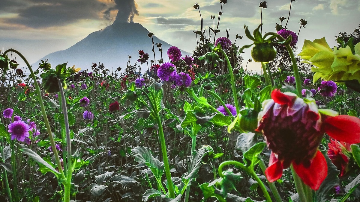 Dramatic photos of volcanoes in action around the world | National ...