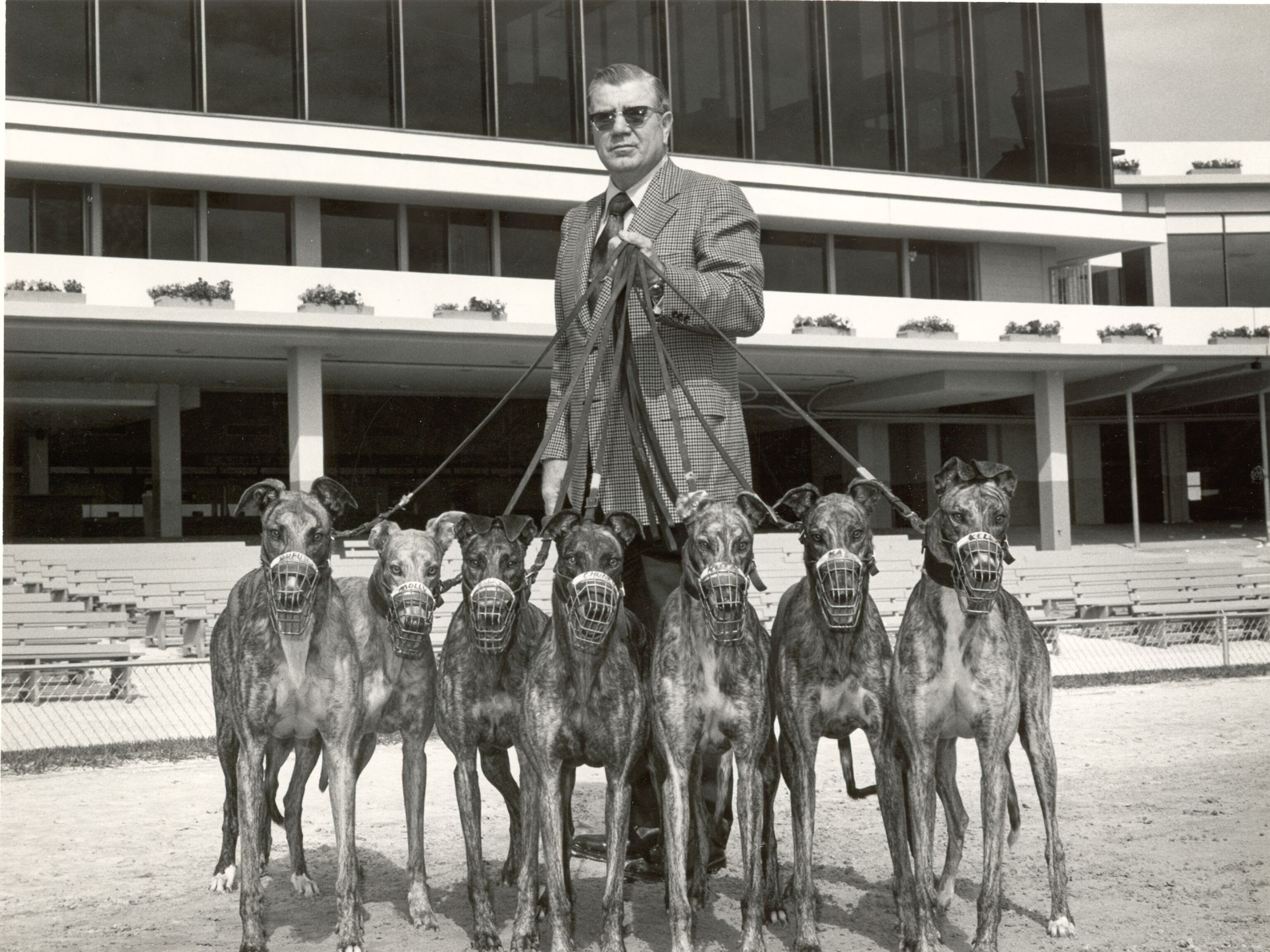 Greyhound racing in the U.S. is coming to an end