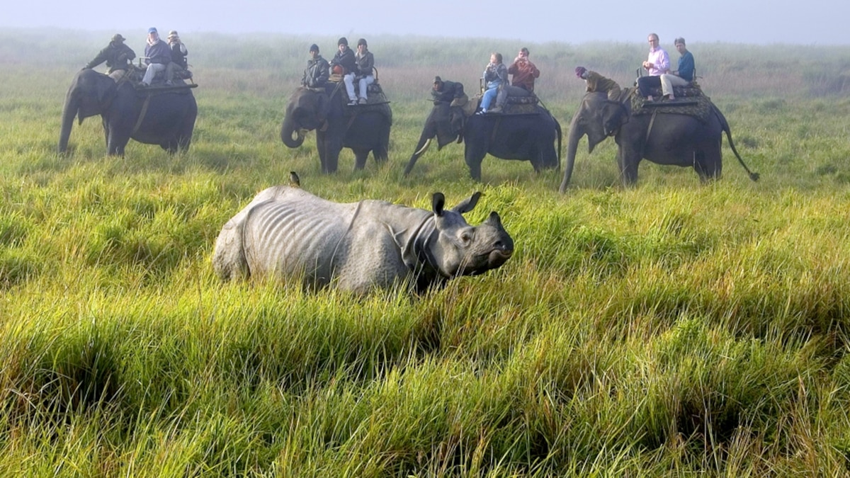 Best Tours in Photos: Travel the World with Experts | National Geographic