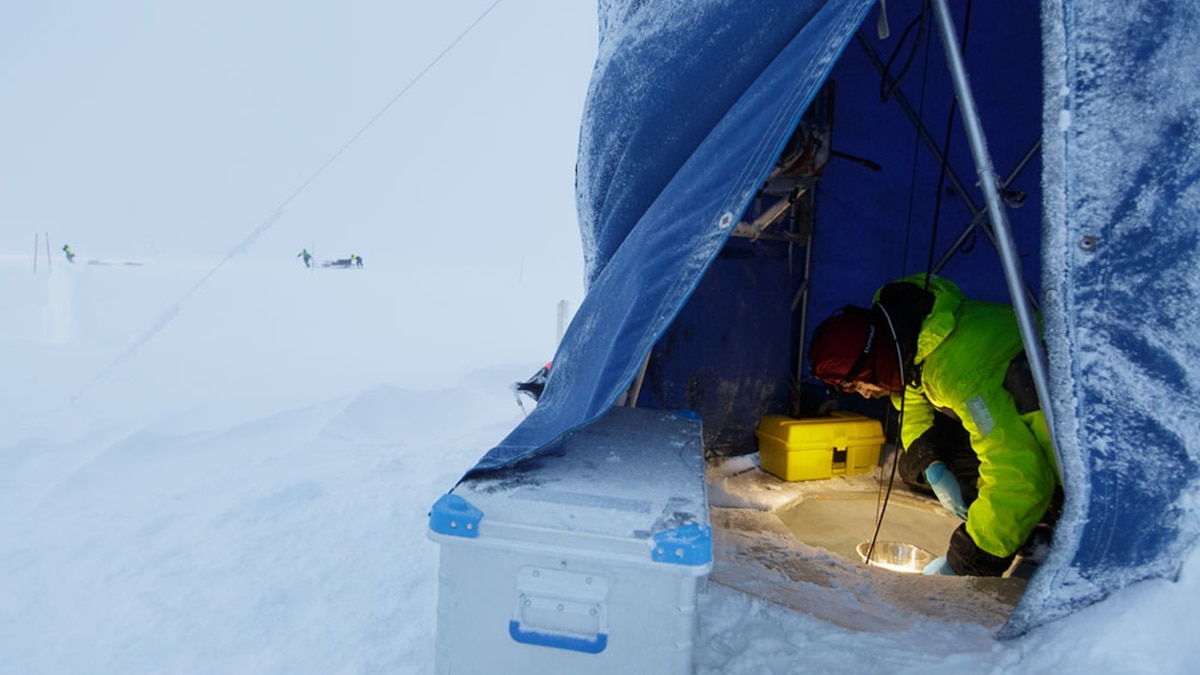 Facing Polar Bears, Isolation, Researchers Explore Arctic Sea Ice ...