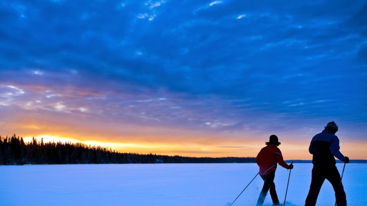 Prince Albert National Park | National Geographic