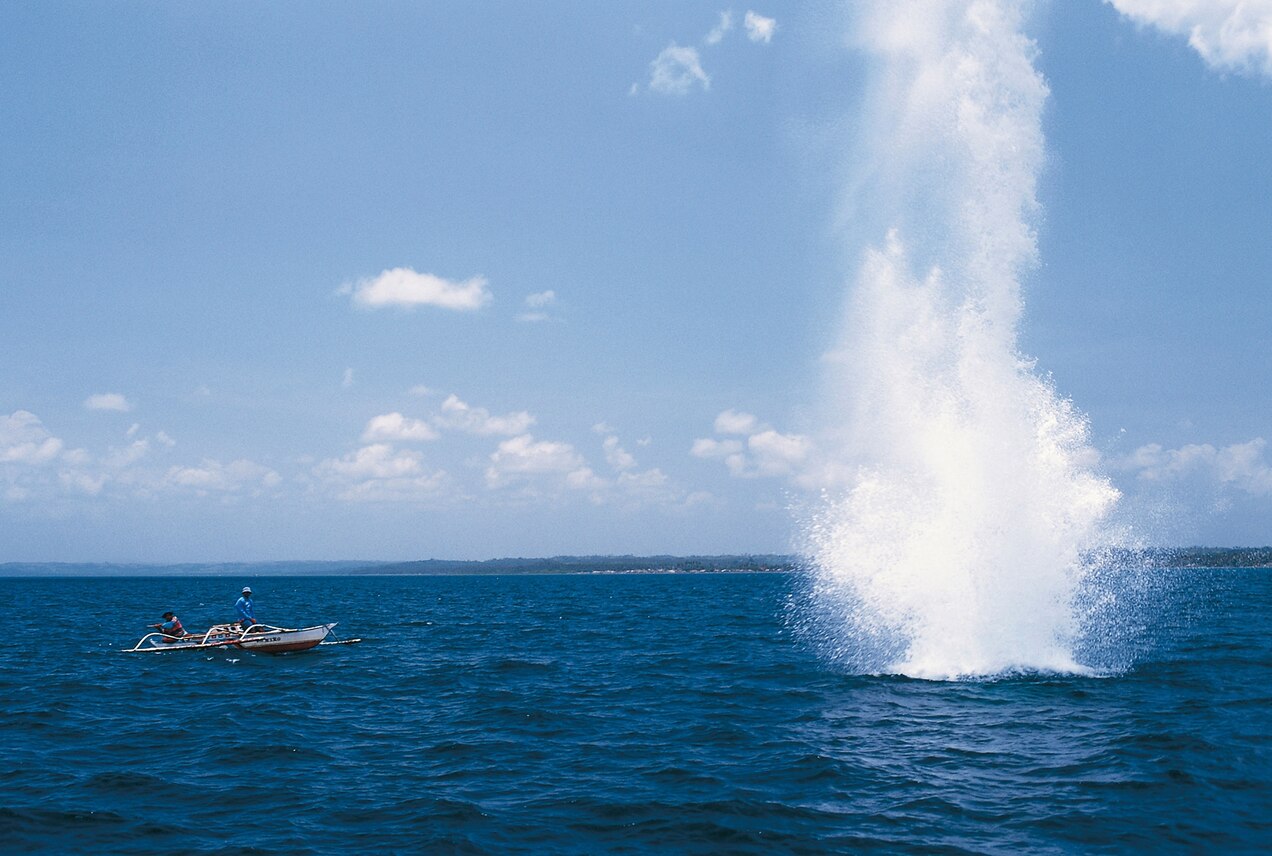 Explosive Fishing
