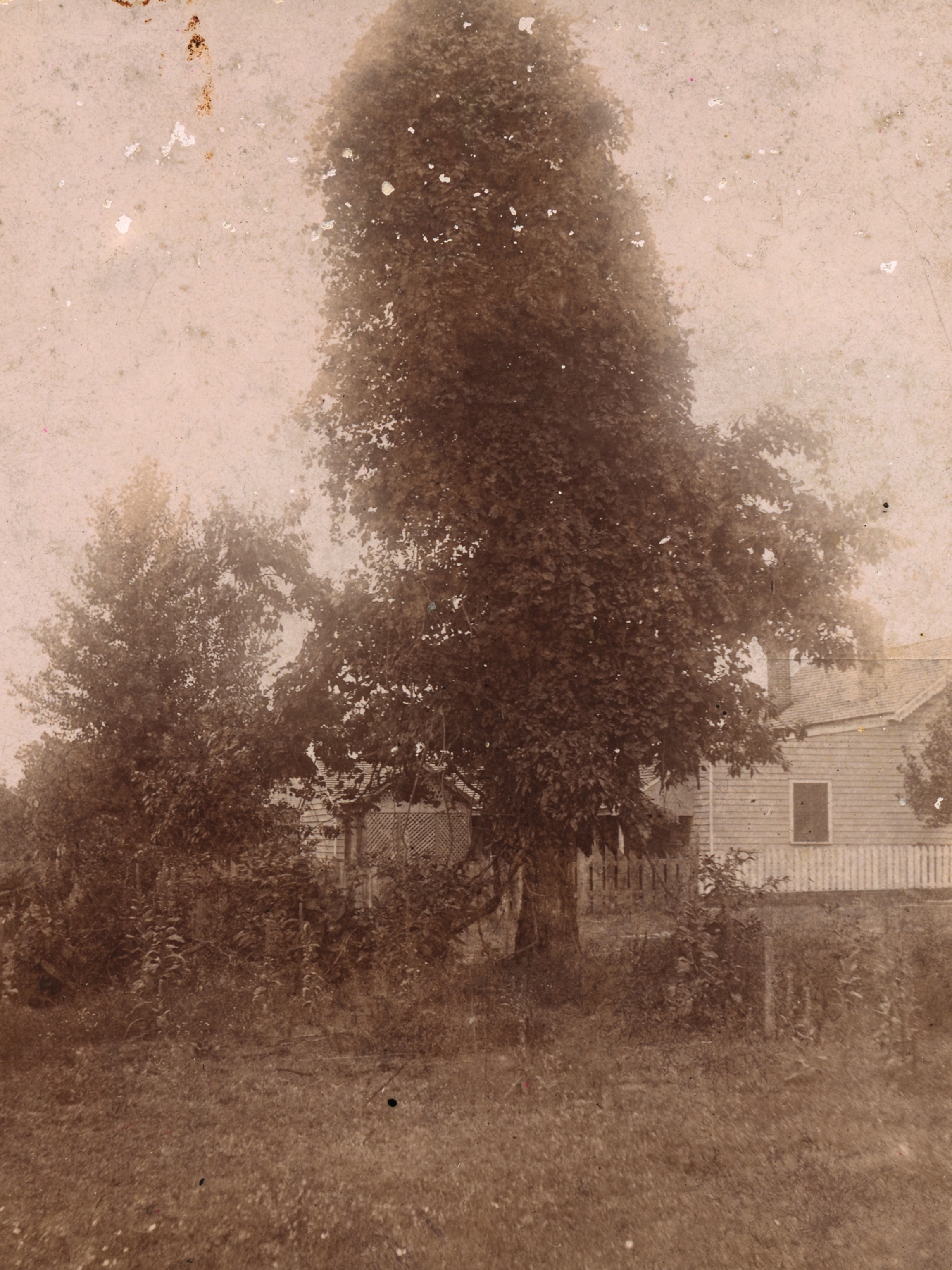 Finding the Bones of Nat Turner, American Rebel