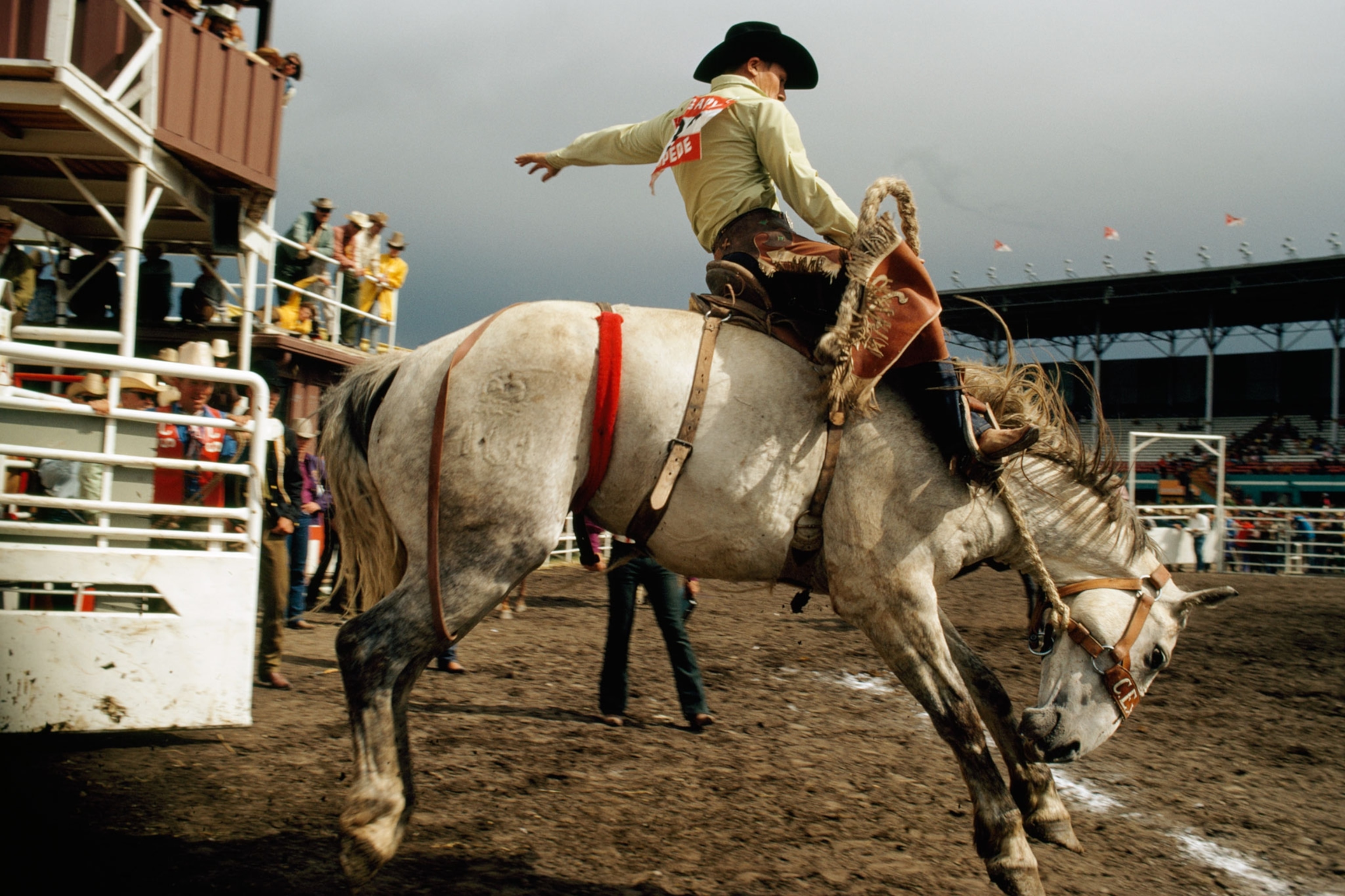 Yeehaw! 18 Photos for National Day of the Cowboy
