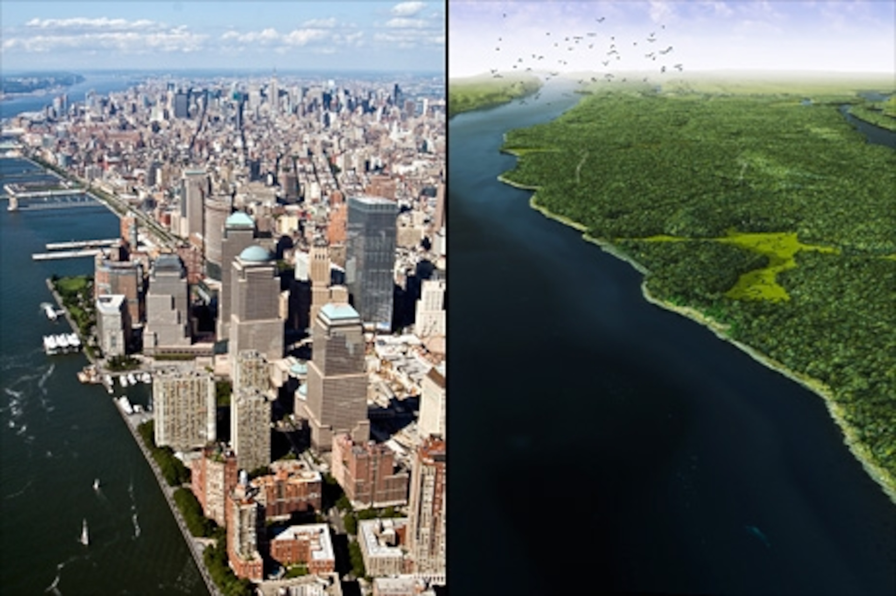 Manhattan 1609 vs. 2009: Natural Wonder to Urban Jungle