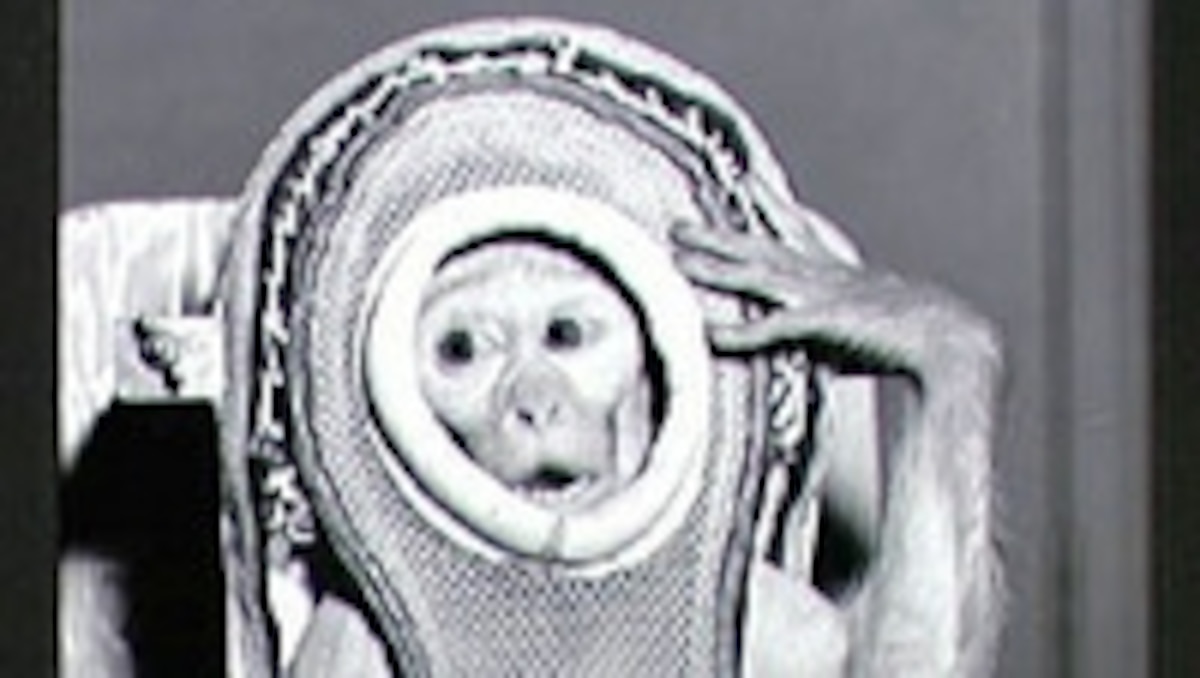 50 Years of Space Monkeys | National Geographic