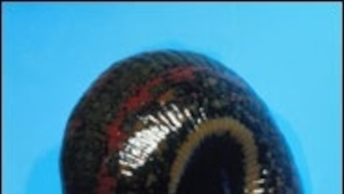 A Leech Blog. If You Build It, We Will Come. | National Geographic