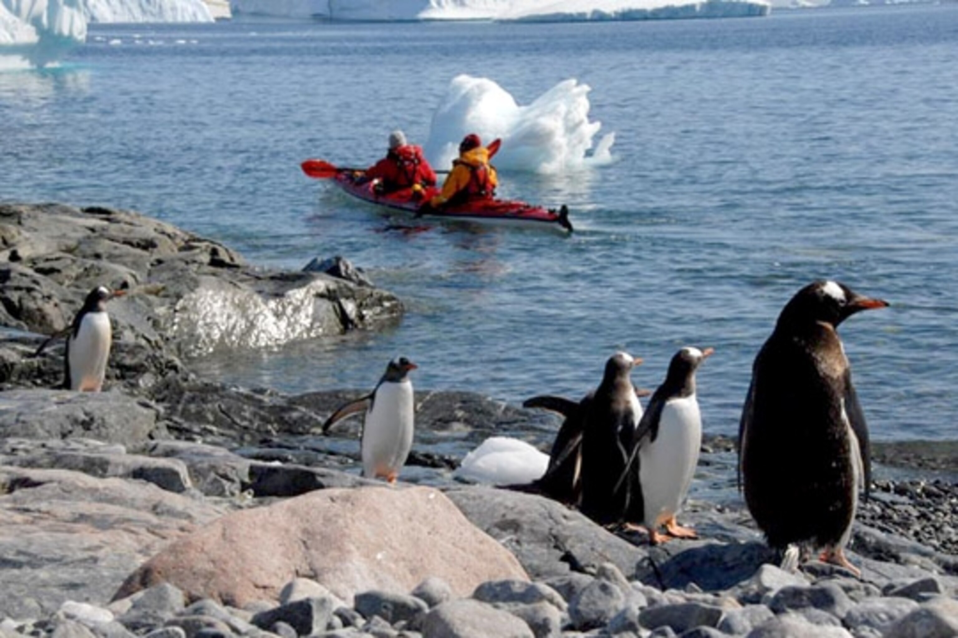 Antarctica Dispatches: Eyewitness at the Bottom of the World