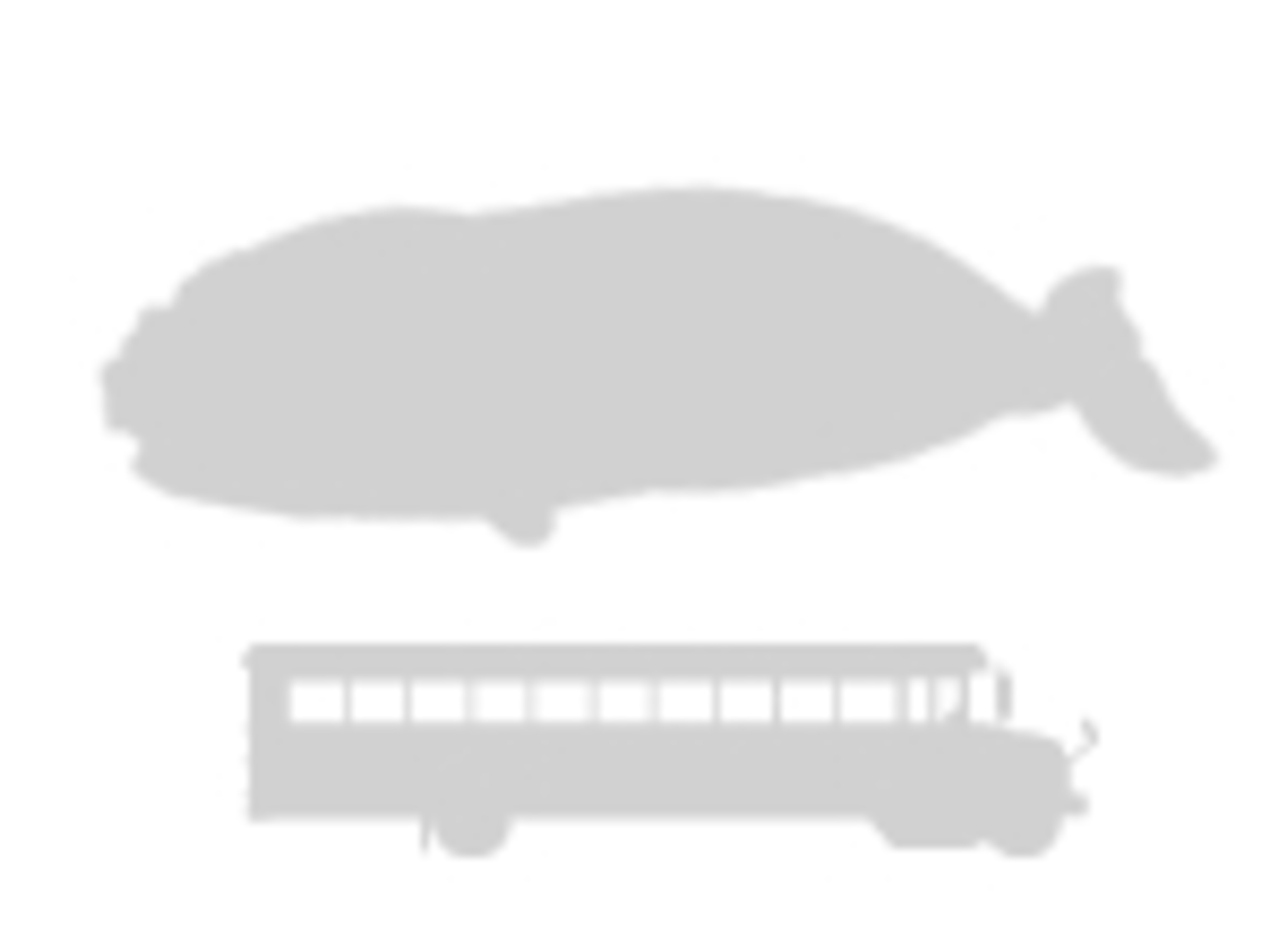 Blue Whale Size Comparison To School Bus
