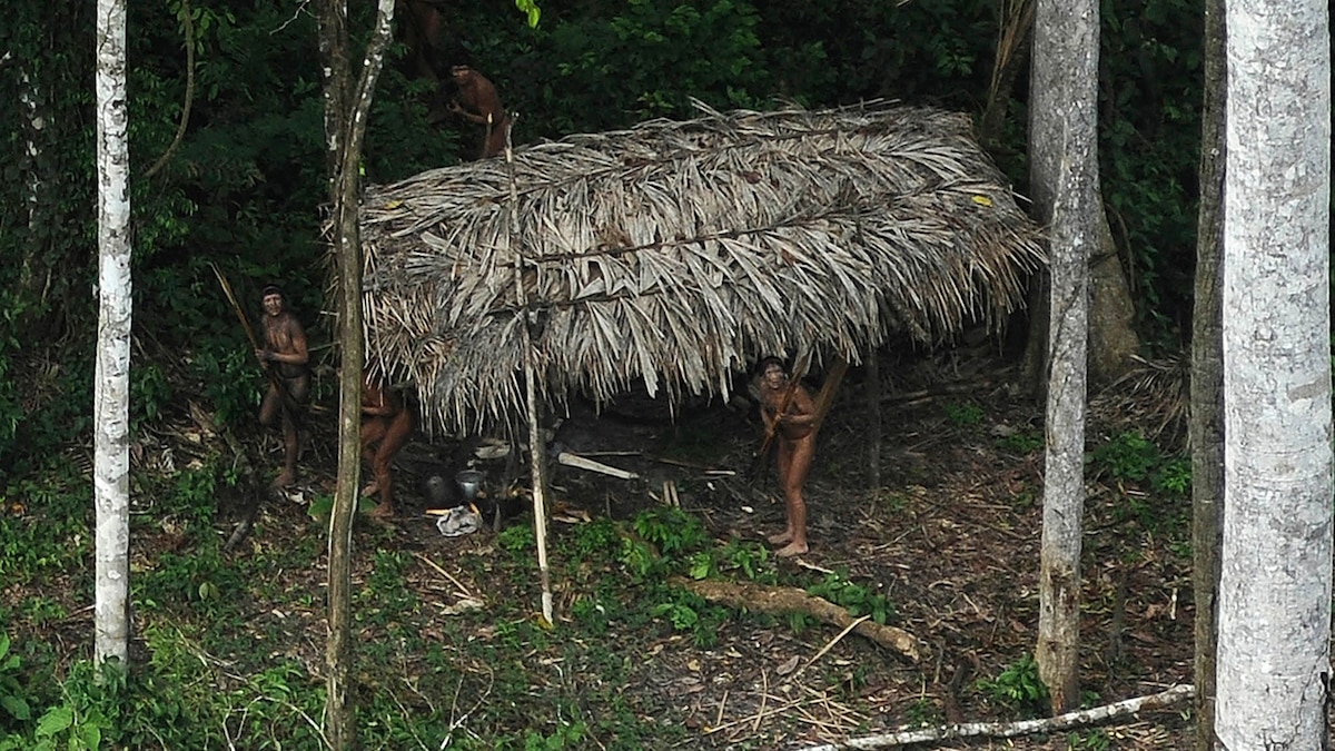 New Photos of Uncontacted Amazon Tribe Stir Uproar | National Geographic
