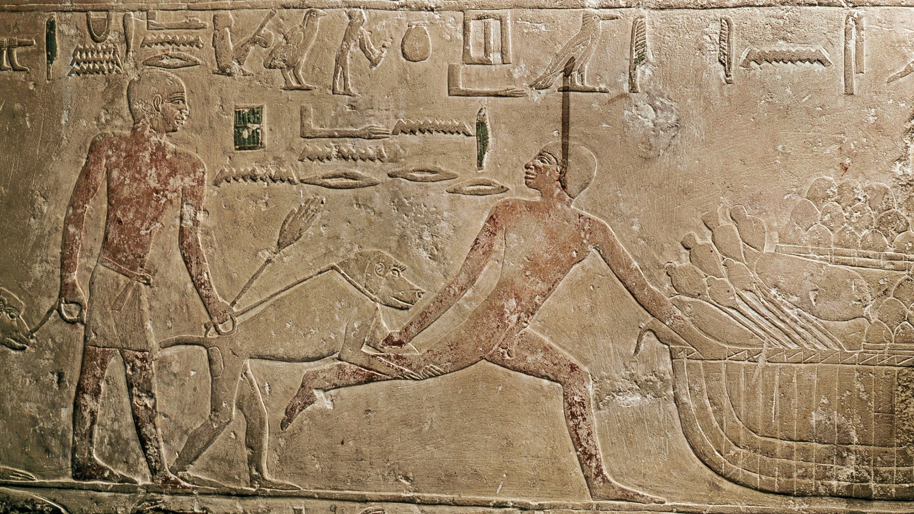 Power flowed from the pharaoh in the ancient Egyptian legal system