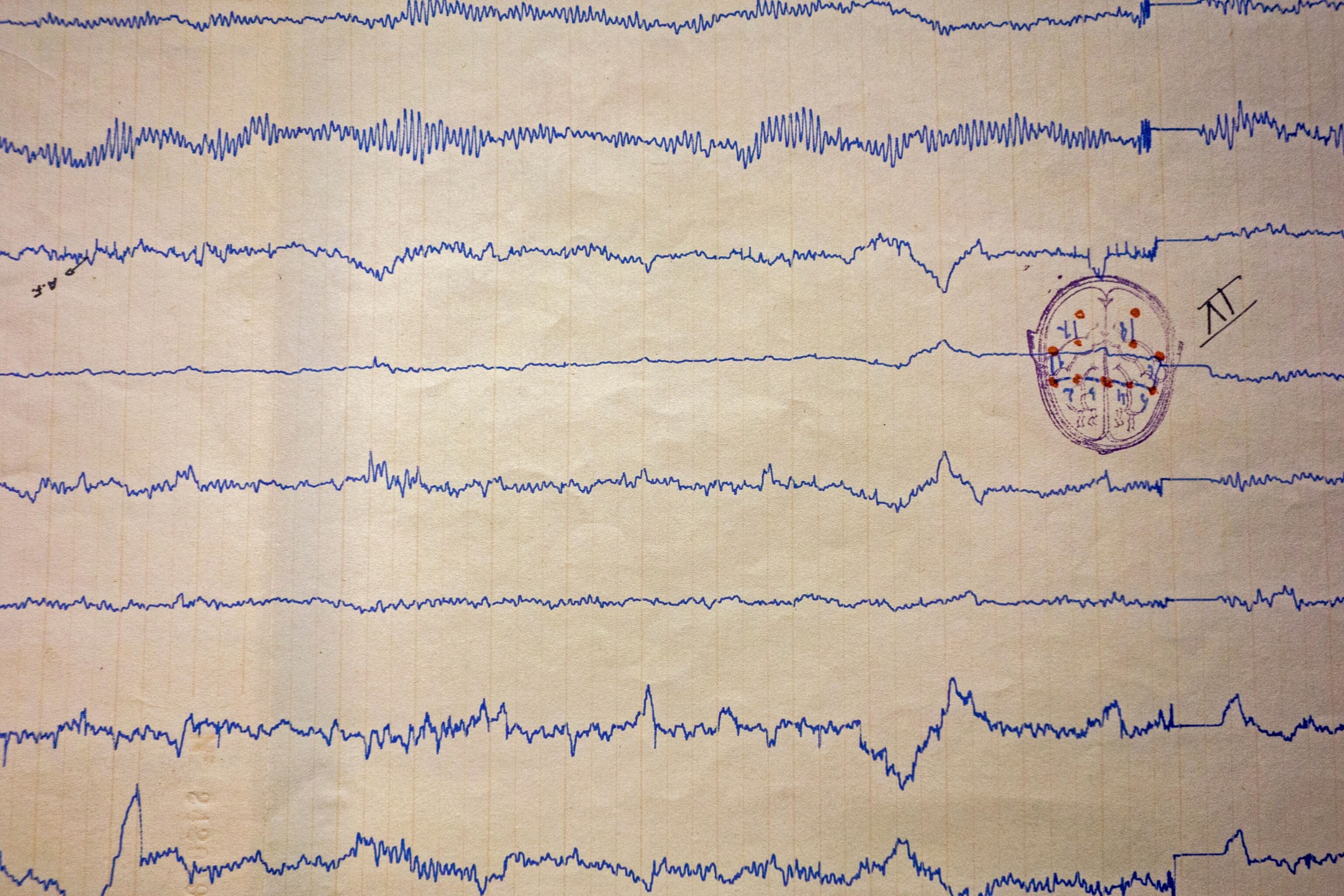 Can you really tell if someone is lying? Here's what the experts say