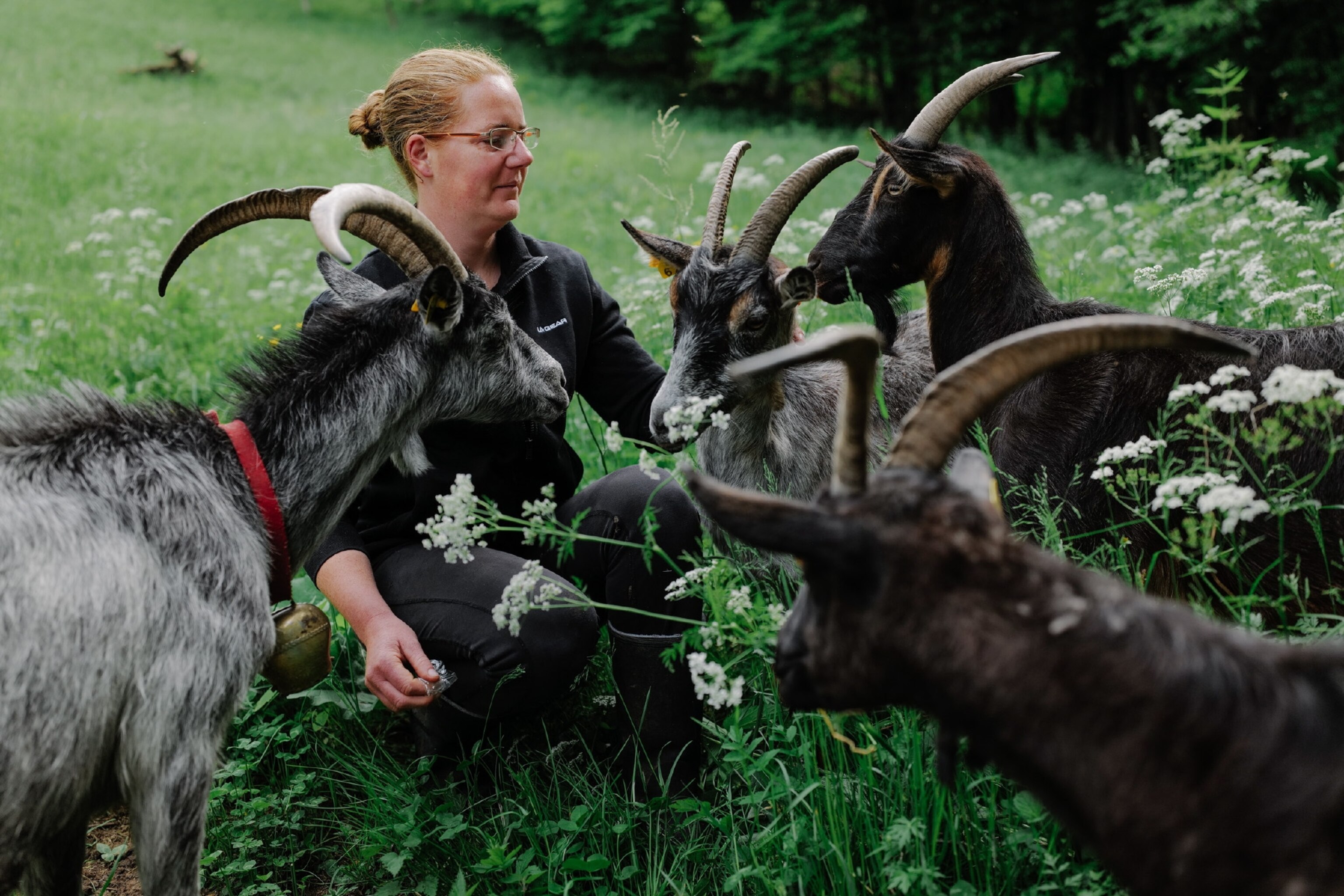 Rare goats thrive in this idyllic mountain village tucked away in Slovenia