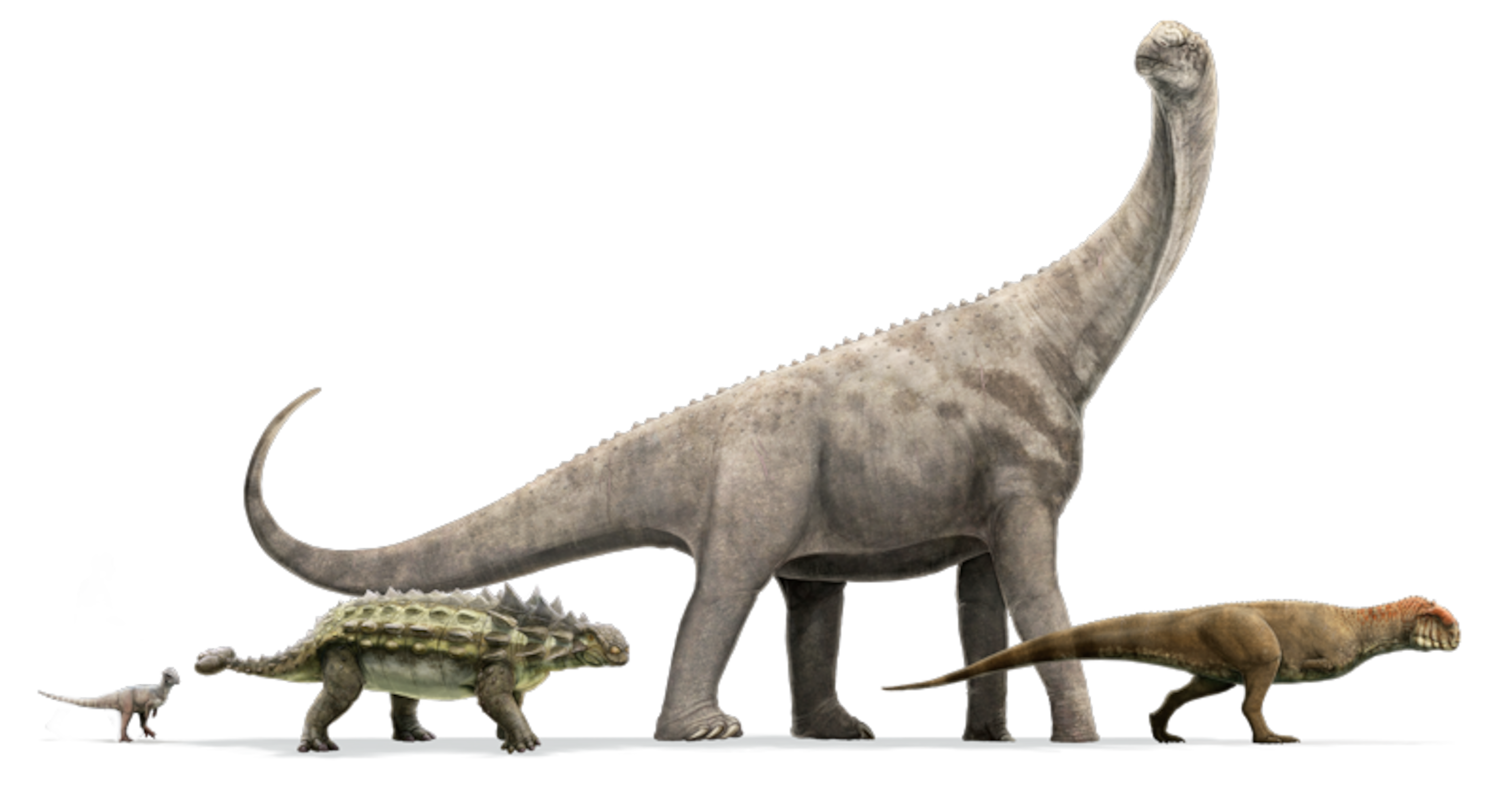 How can 'friluftsliv' help make you happier now? | National Geographic