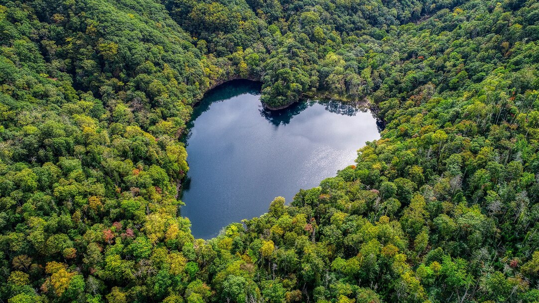 Heart Shapes In Nature