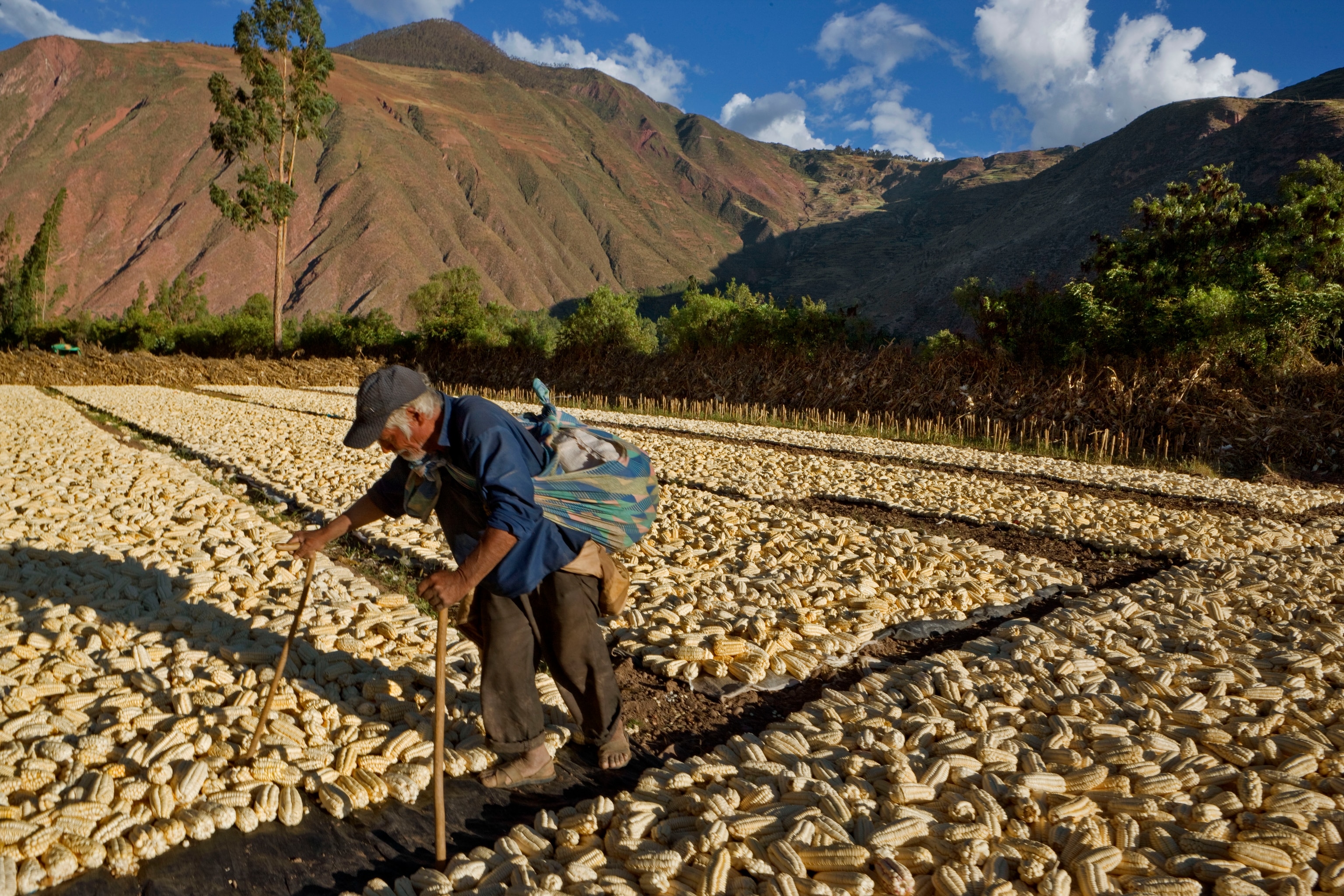 The lofty ambitions of the Inca