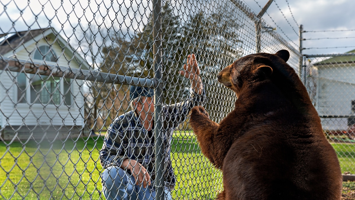 Wild Obsession | National Geographic