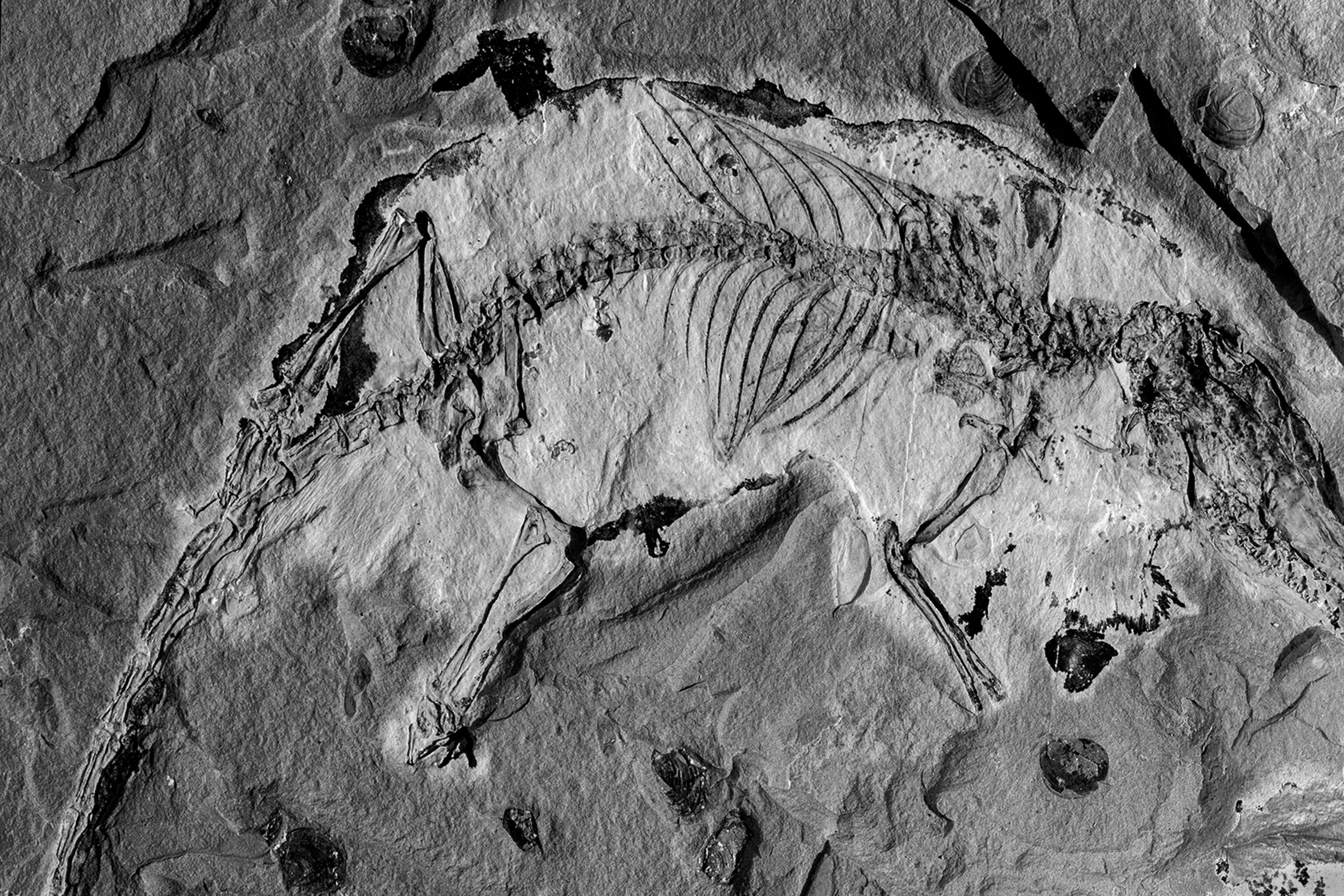 The audacious science pushing the boundaries of human touch