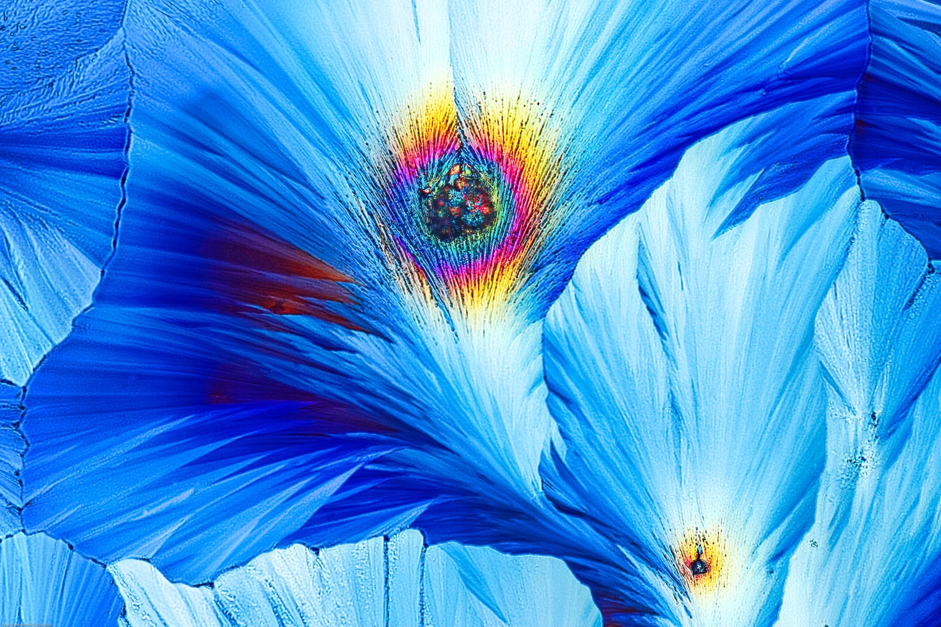 See the extraordinary splendor of ordinary chemicals