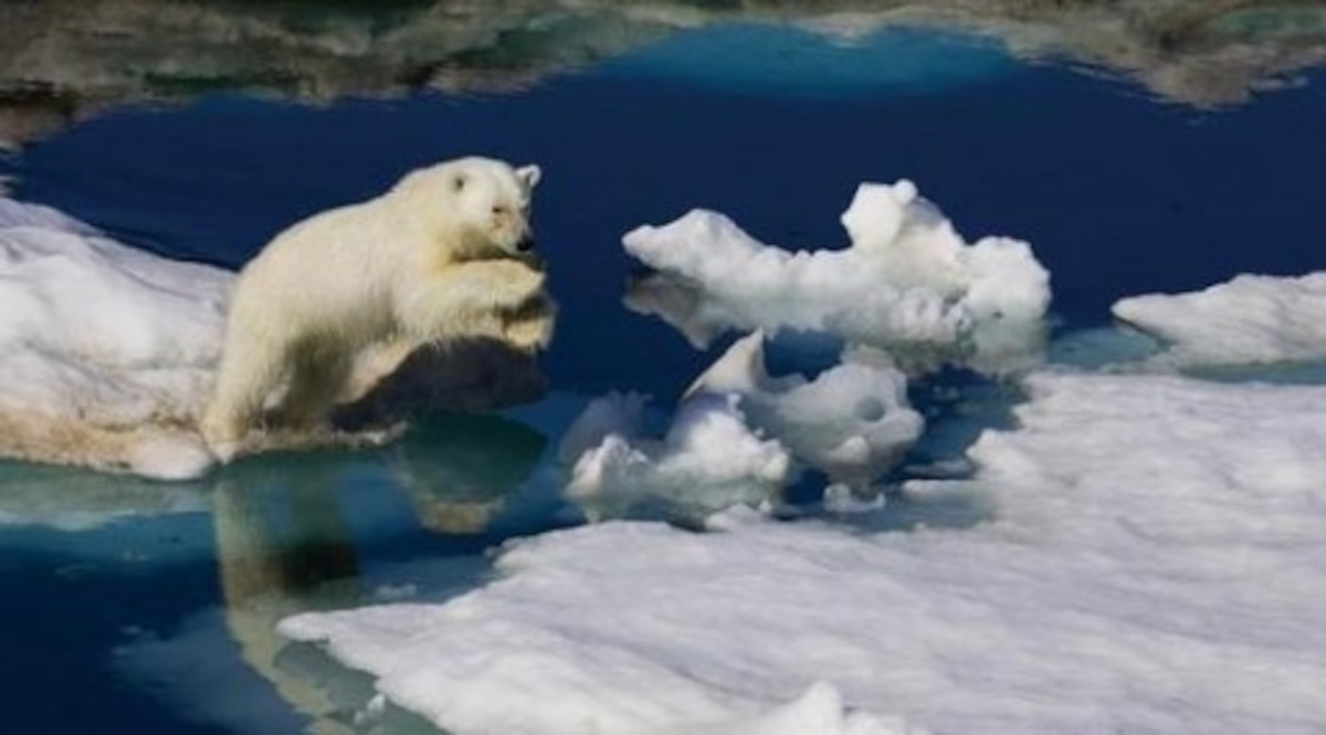 TONIGHT: The Land of the Polar Bears with National Geographic Expeditions