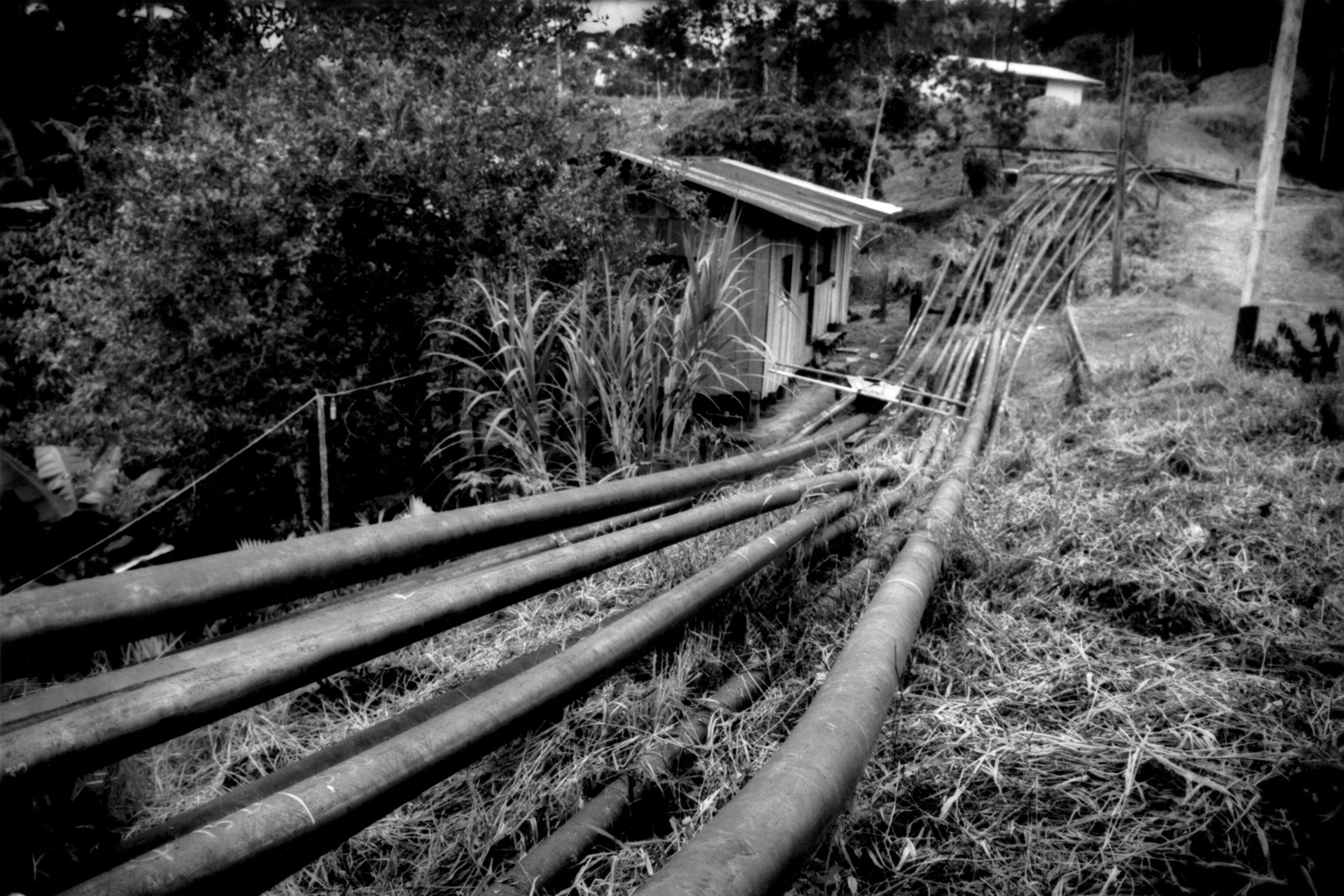A Rare Glimpse of Vanishing Rain Forest Cultures
