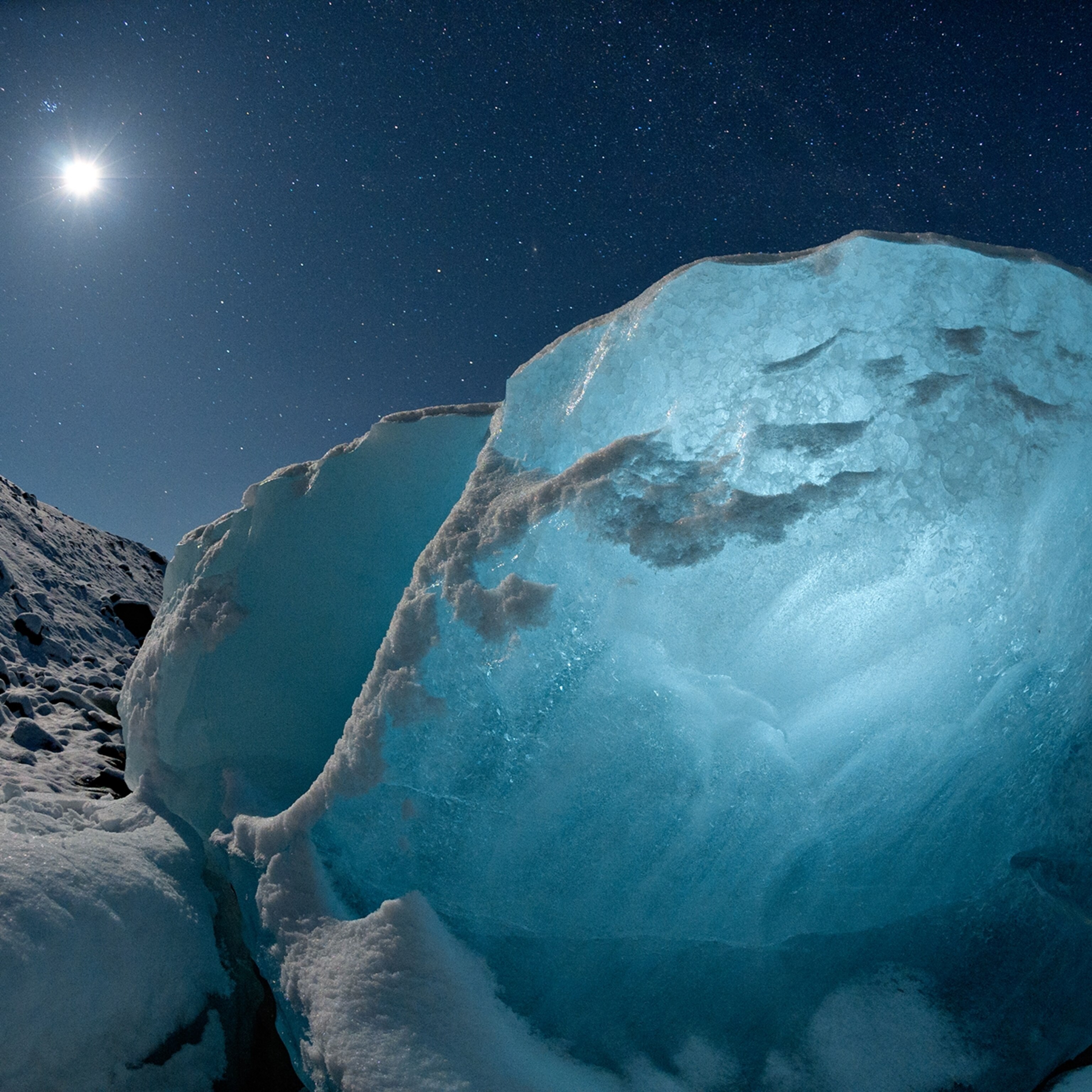 James Balog Animal Photography