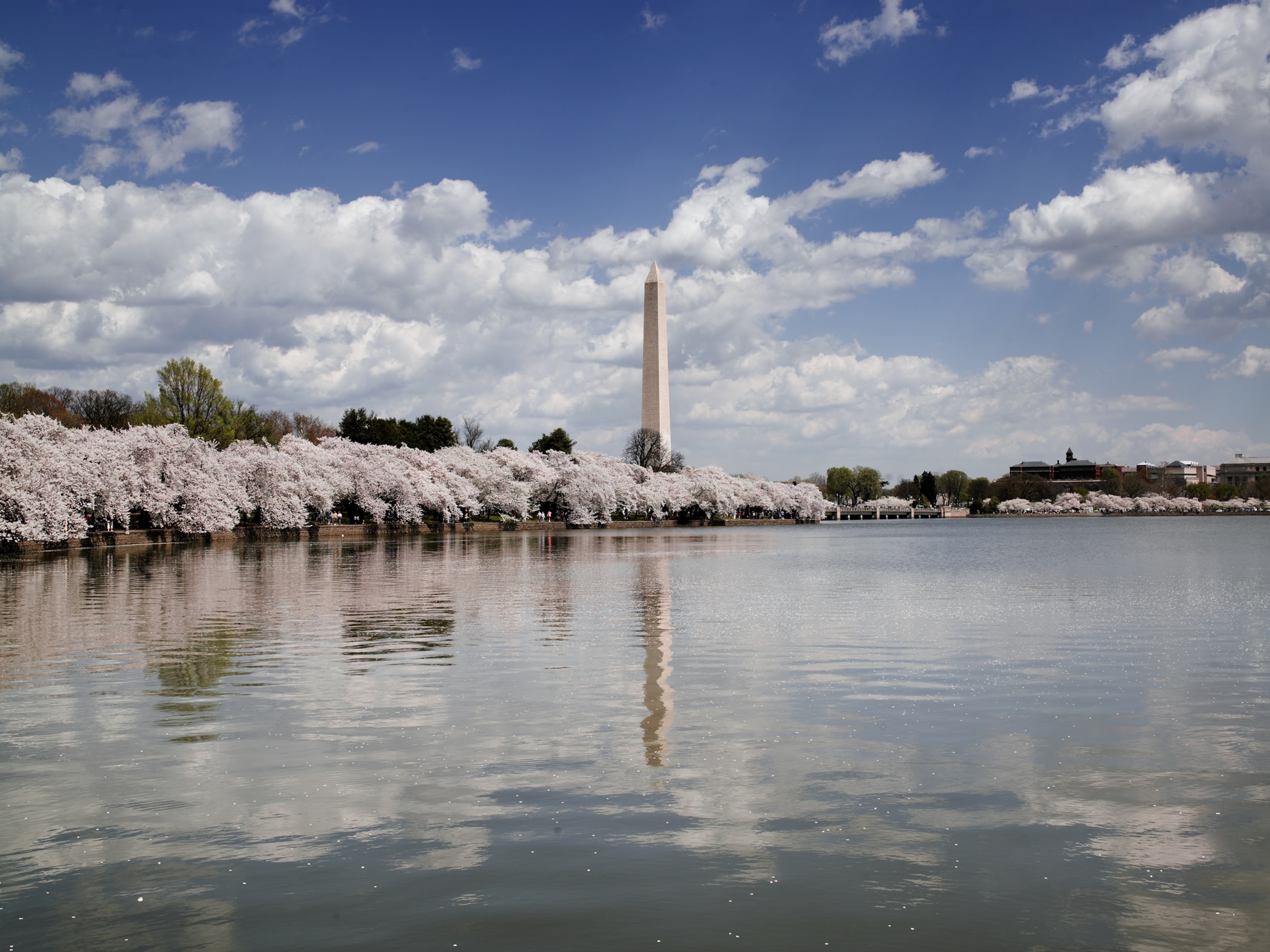 Why the Washington Monument was once a national embarrassment