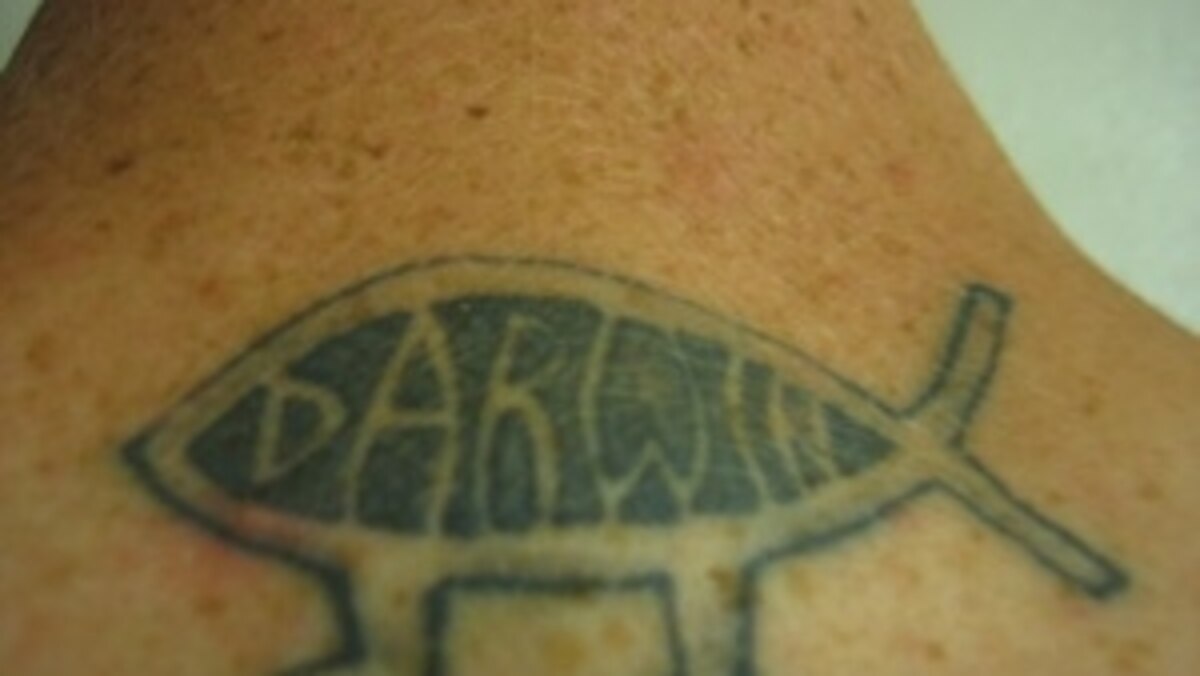 Darwin Fish | National Geographic