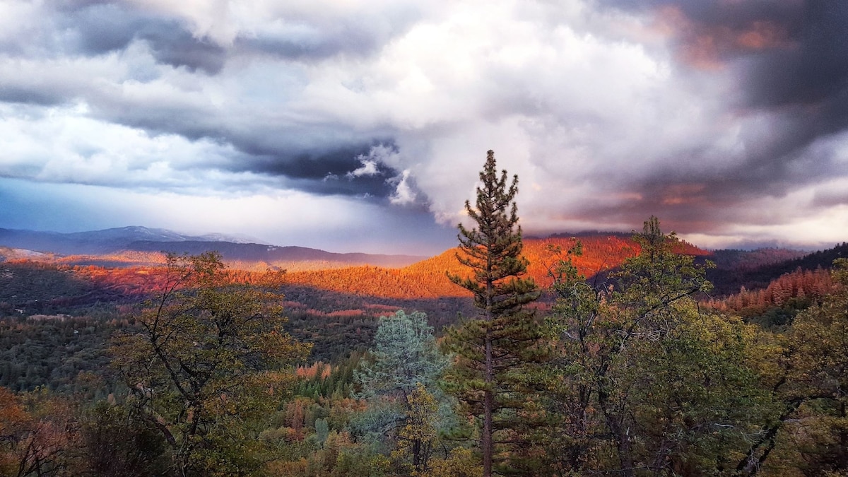Inside the political battle to preserve a sprawling national forest in ...