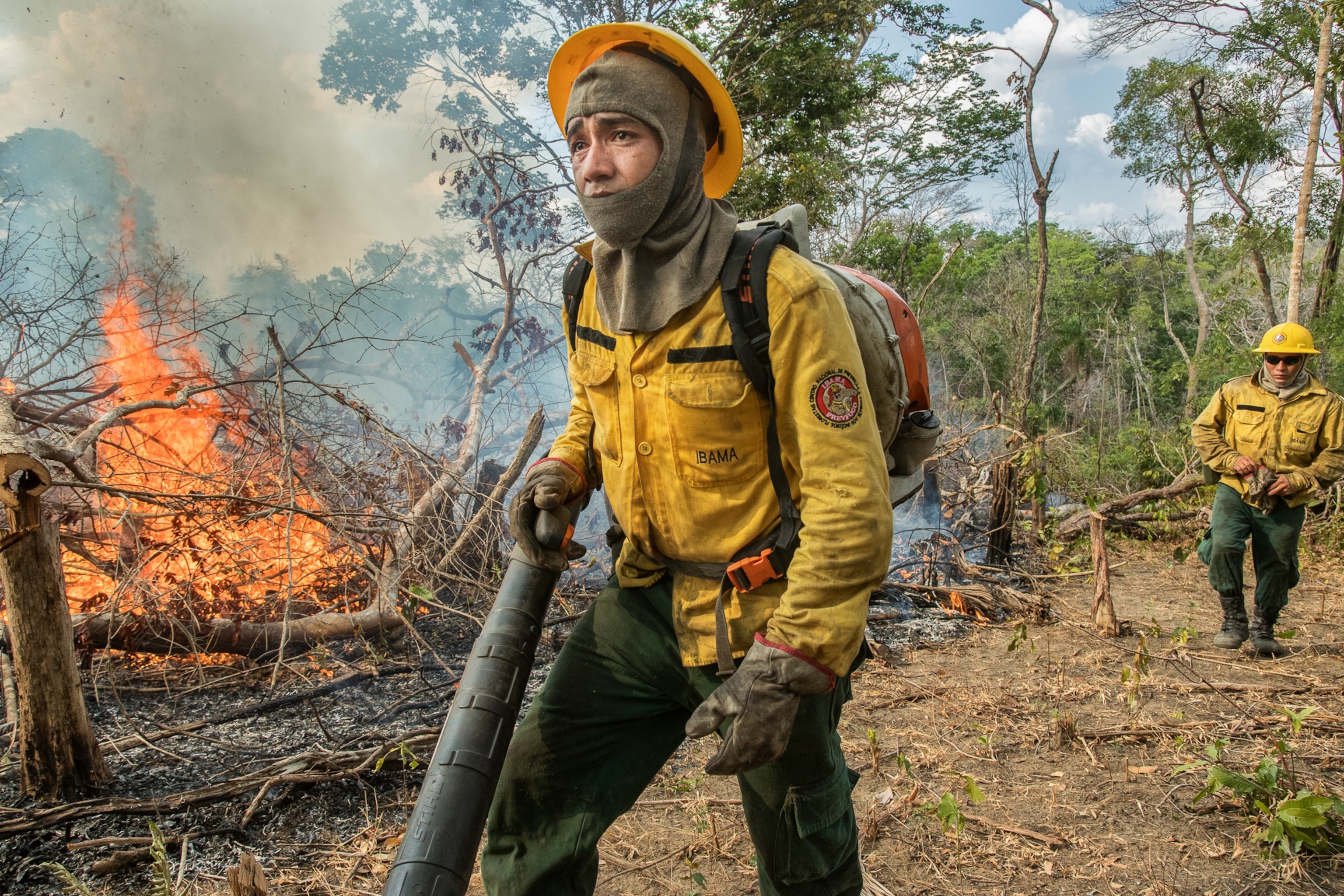 As the Amazon burns, cattle ranchers are blamed. But it’s complicated.