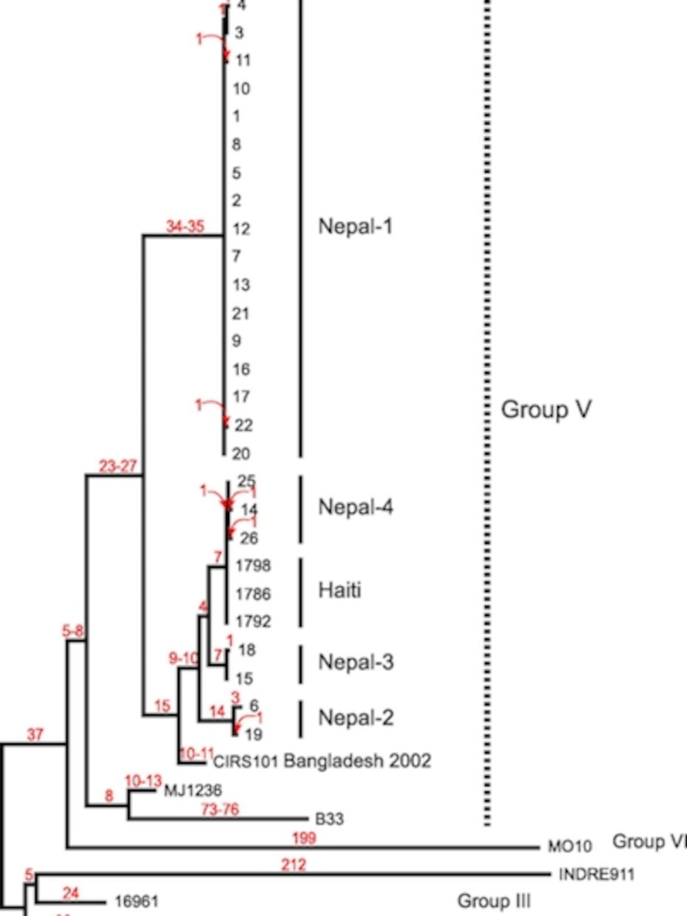 Zooming In On the Cholera Tree of Life (And Death)