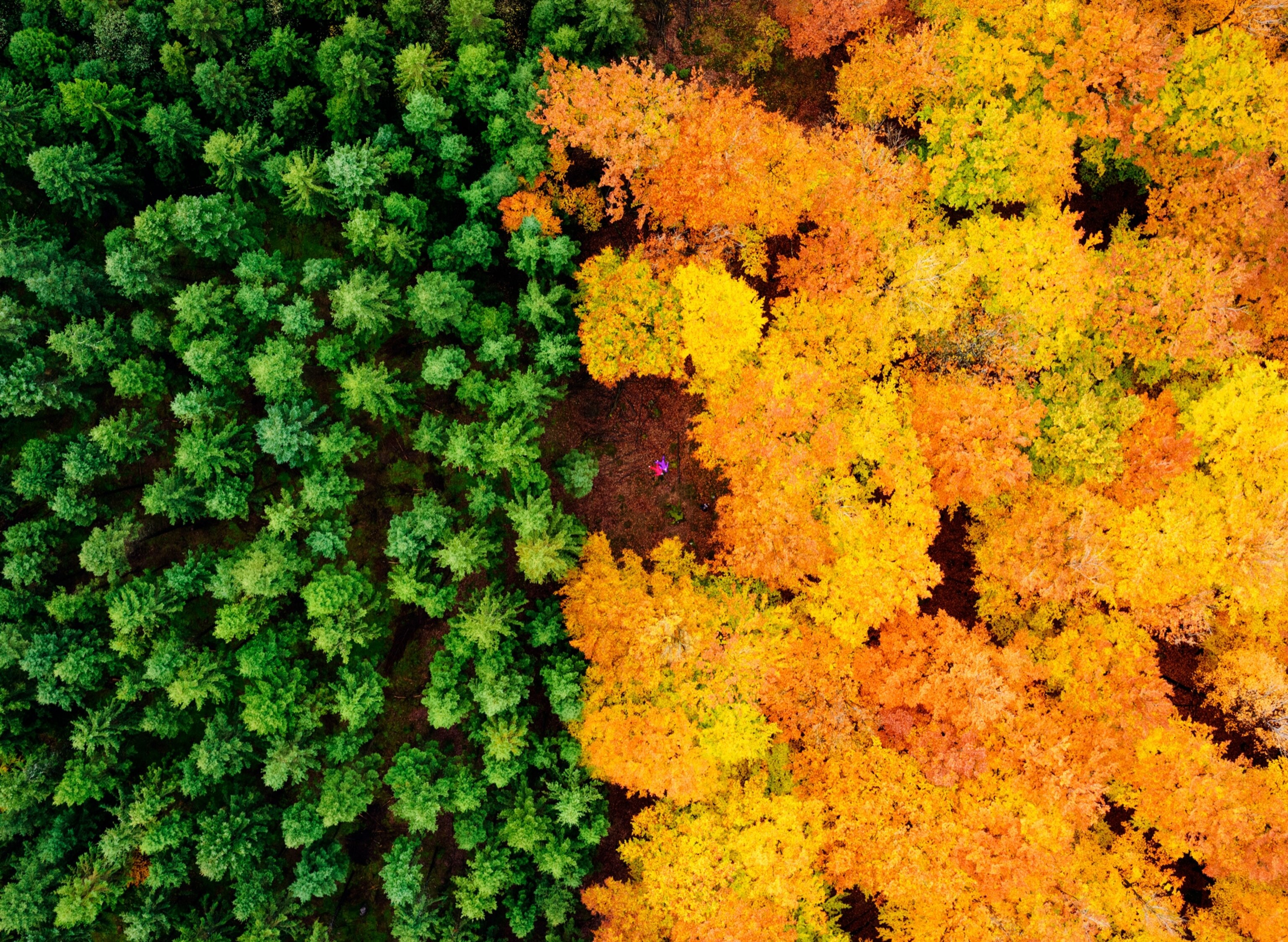 Stunning Fall Pictures Taken by Drones | National Geographic