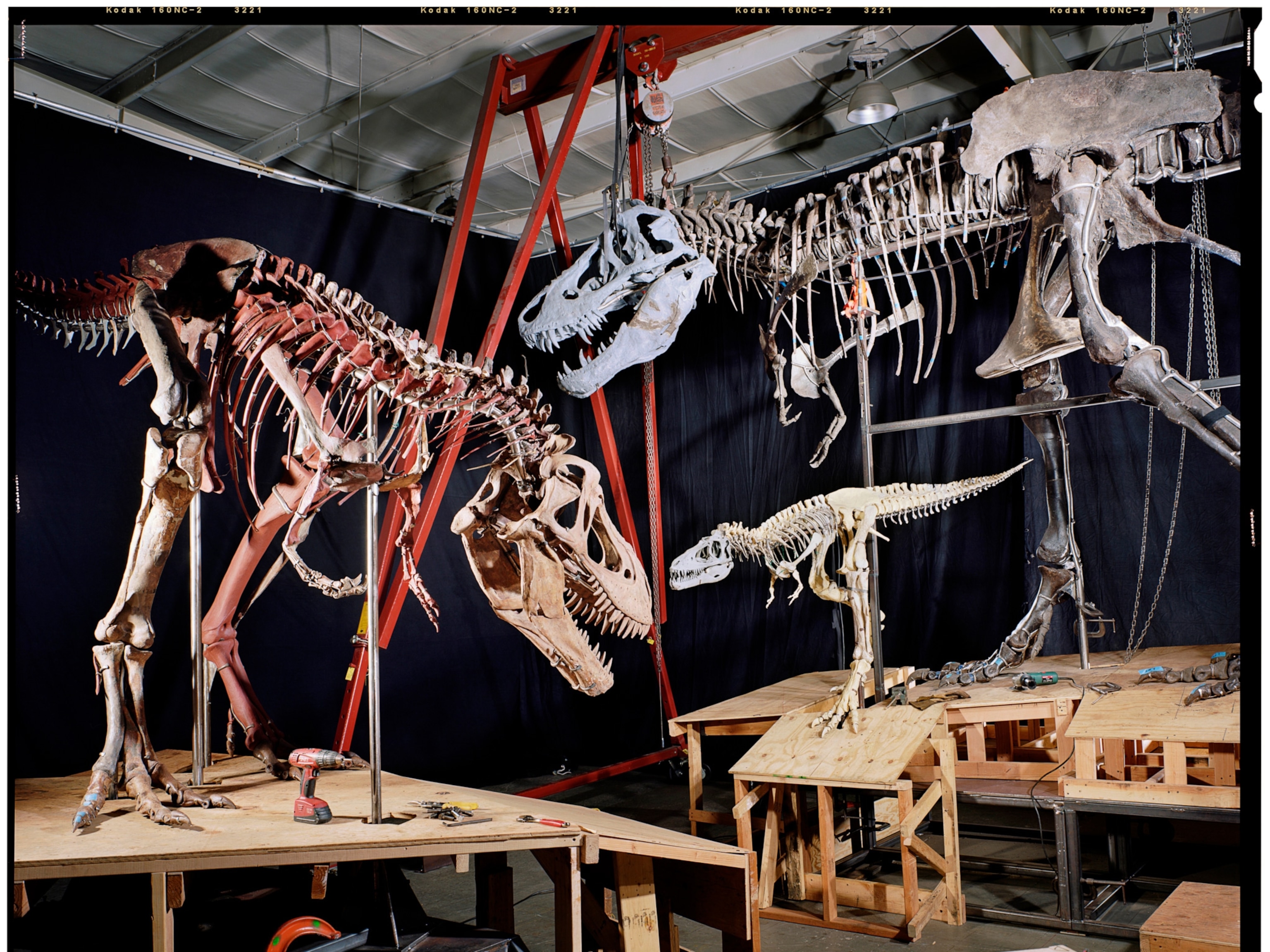 Go behind the scenes of dinosaur fossil restoration