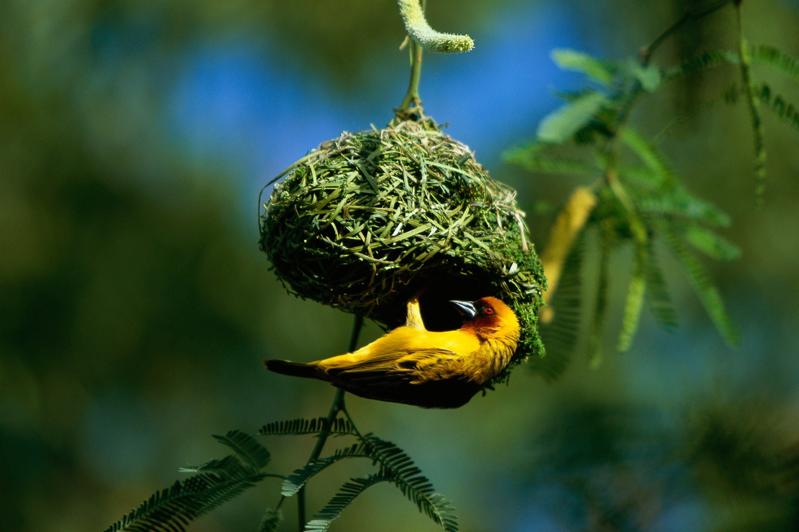 ‘Tis the Season to Be Blooming: 16 Photos Celebrating Spring | National ...