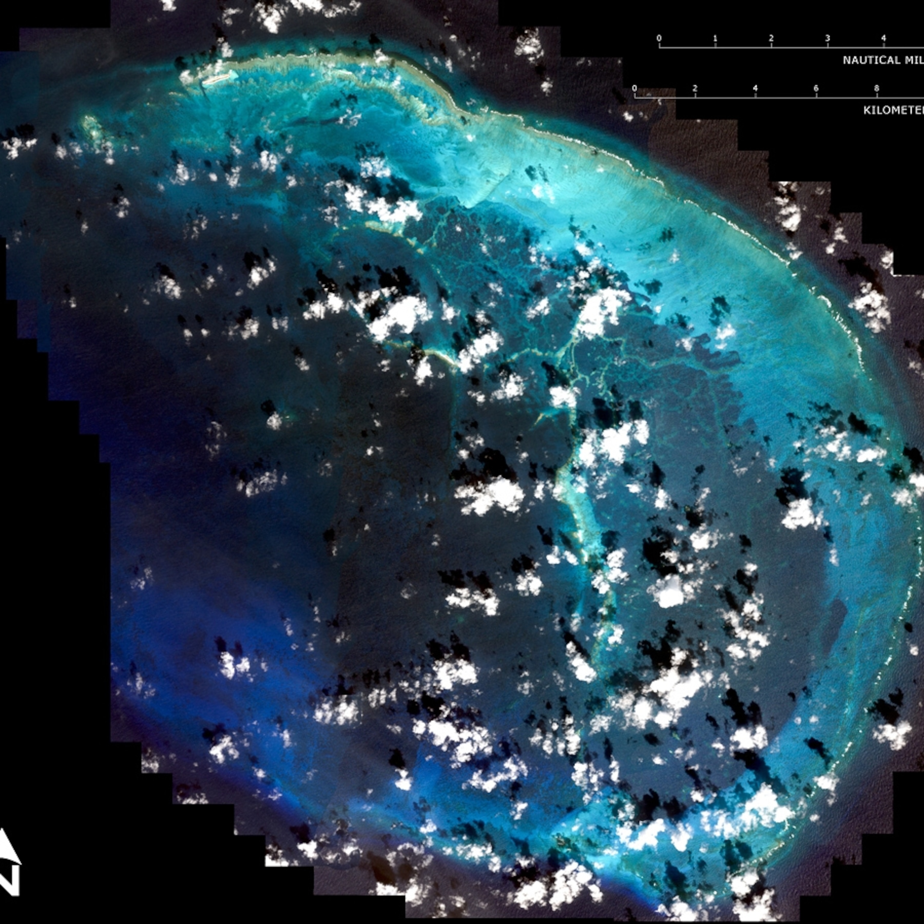 Pictures: 1823 Whaling Shipwreck Found in Hawaii