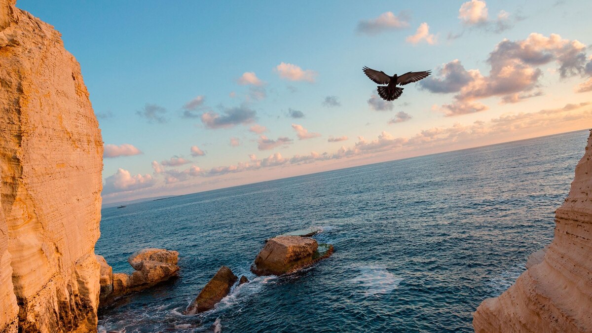 Pictures We Love: Seeking Solace Amid Strife | National Geographic