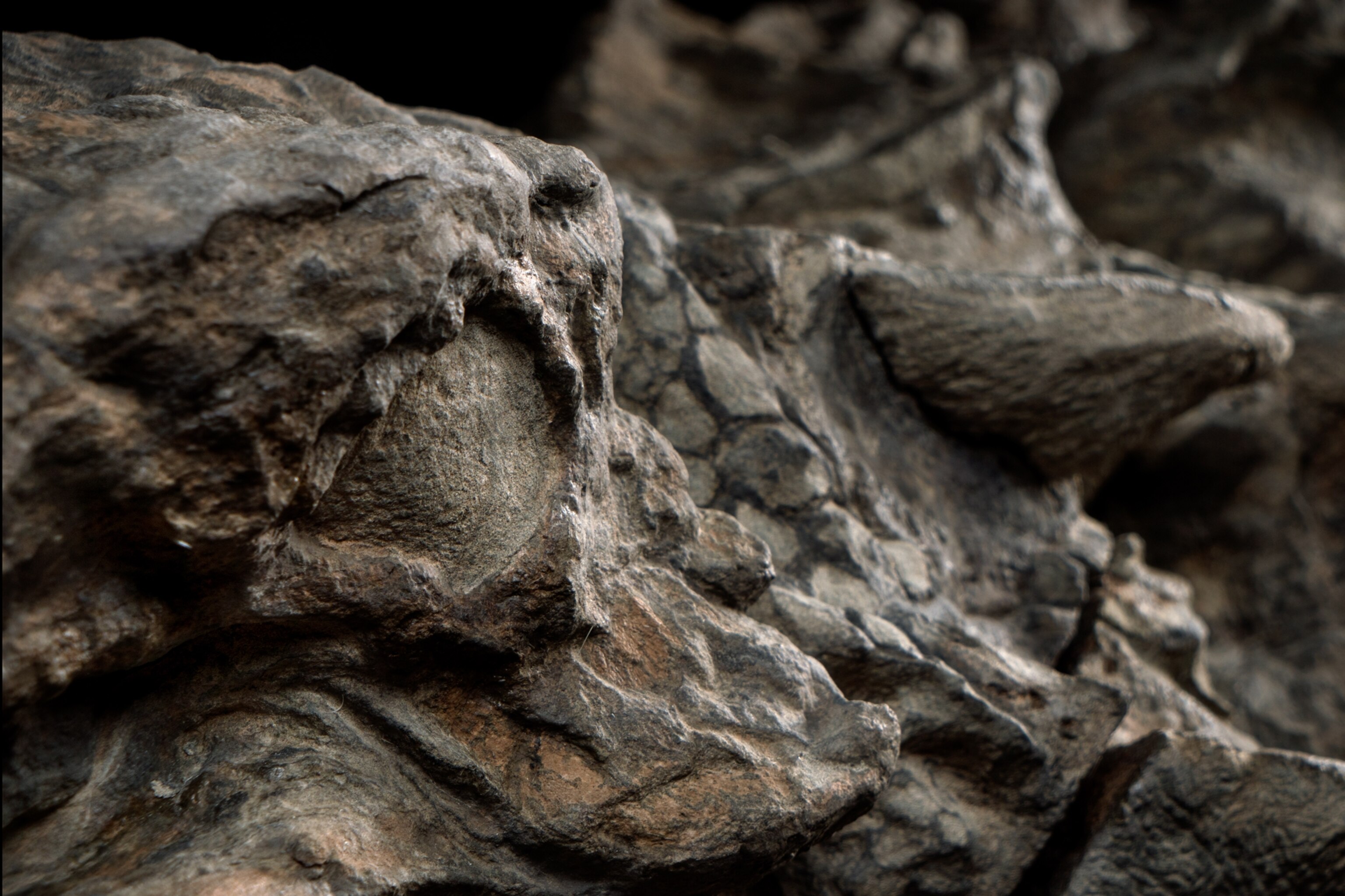 This Dinosaur Is the 'Most Impressive Fossil' We've Ever Seen