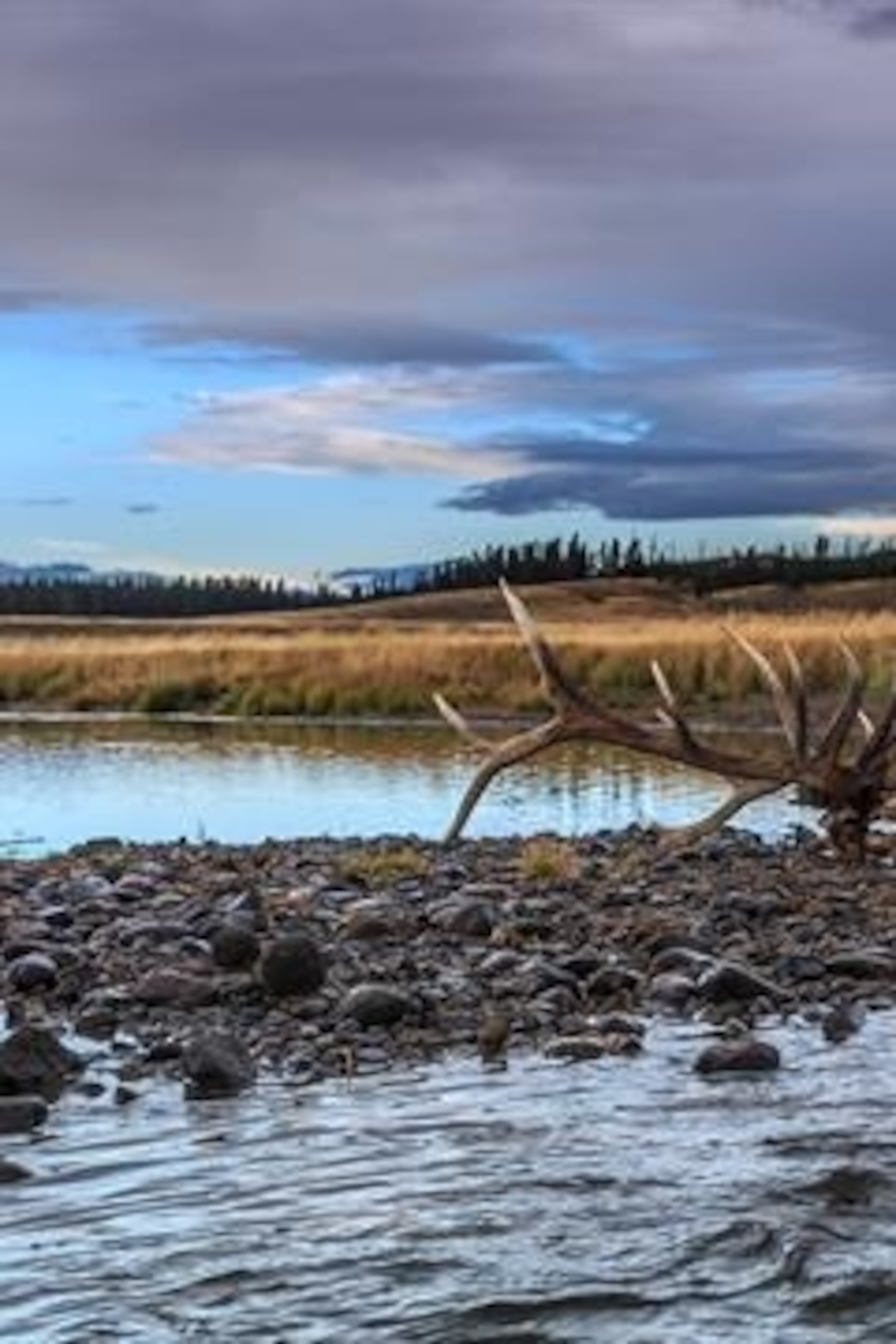 Jennifer Raynor's Instagram, Twitter & Facebook on IDCrawl