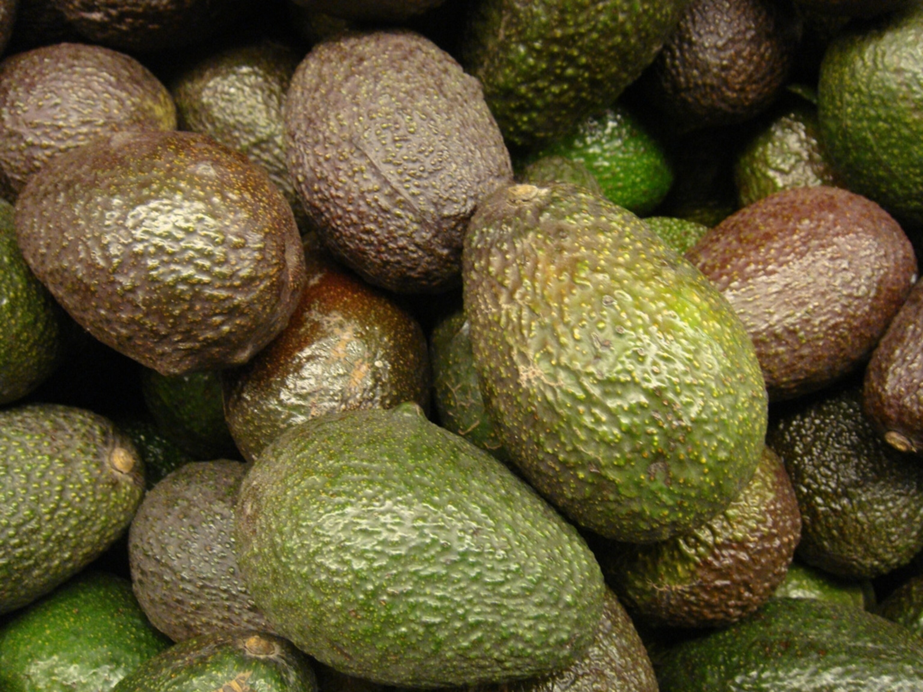 Thanks to America, We’ve Reached Peak Avocado