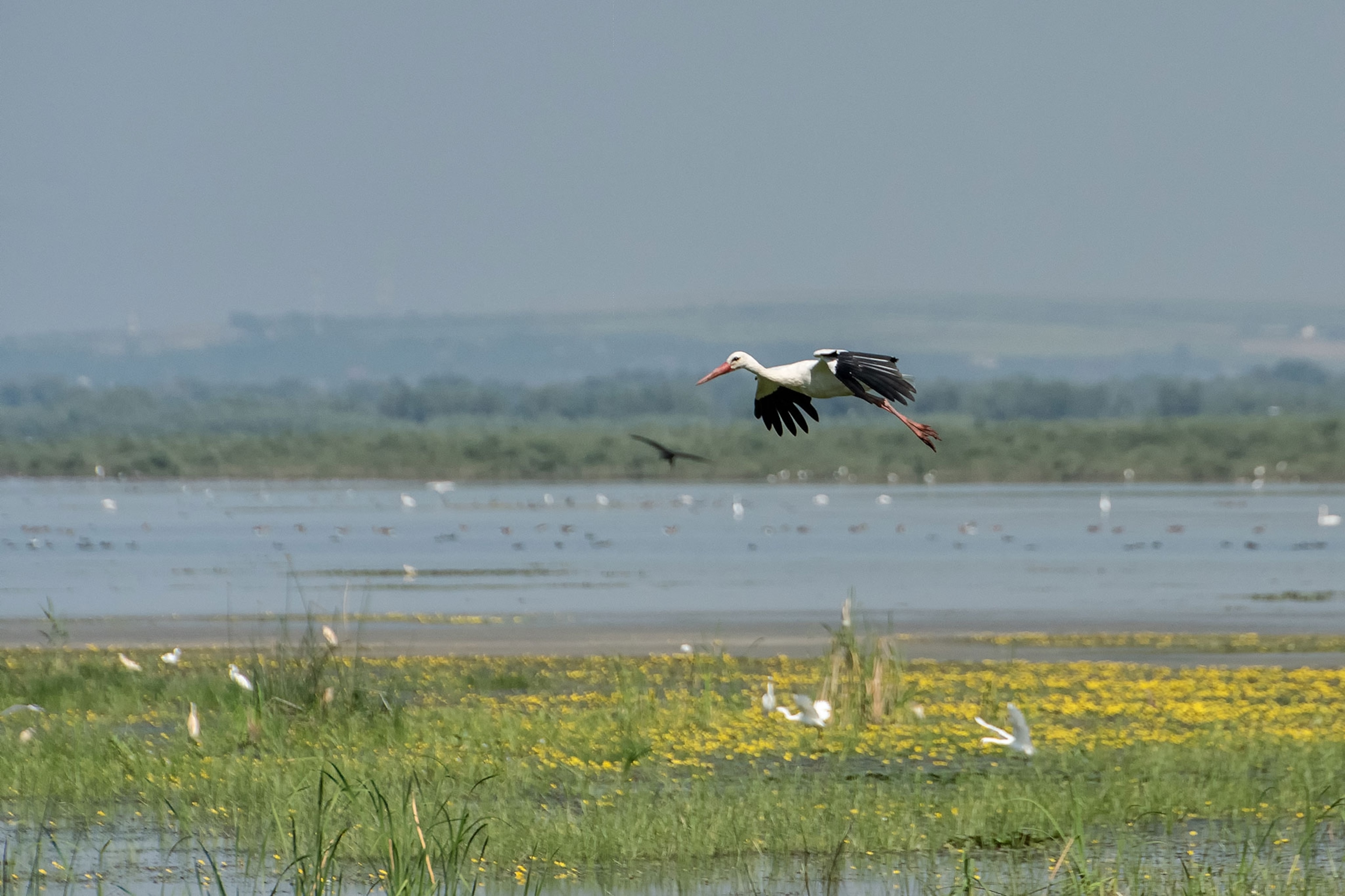 Discover Moldova's vibrant viticulture regions