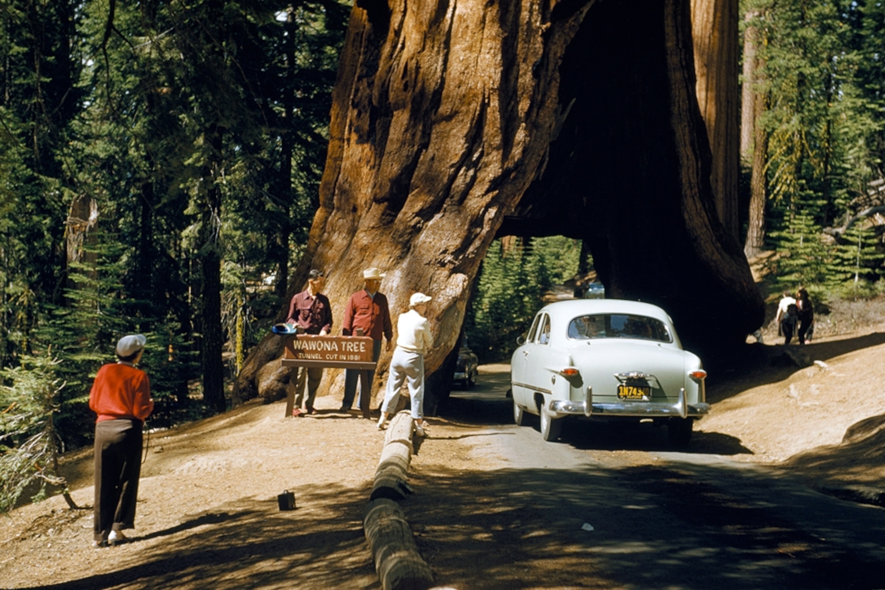 Photo Gallery: Classic Yosemite -- National Geographic
