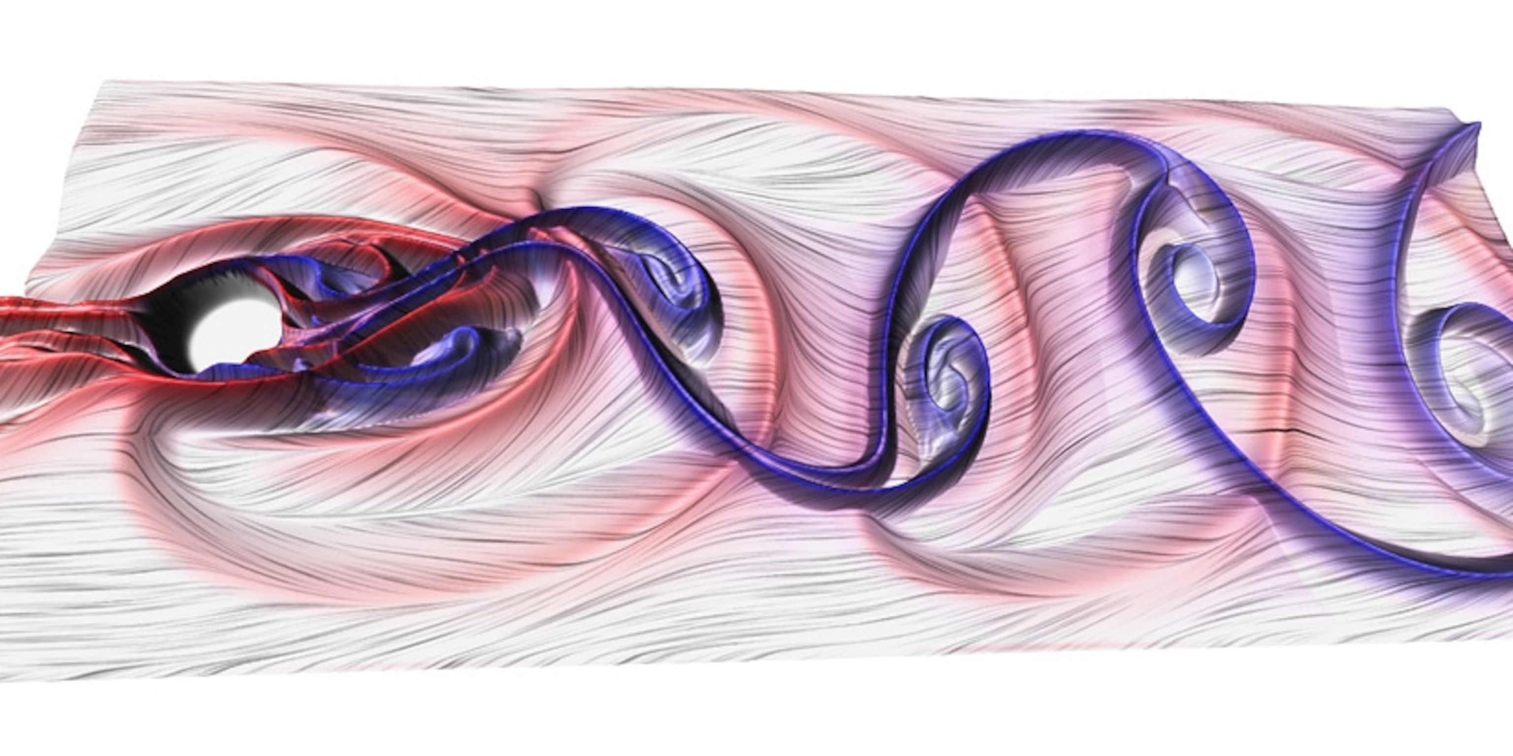 Best Fluid Motion Pictures Named