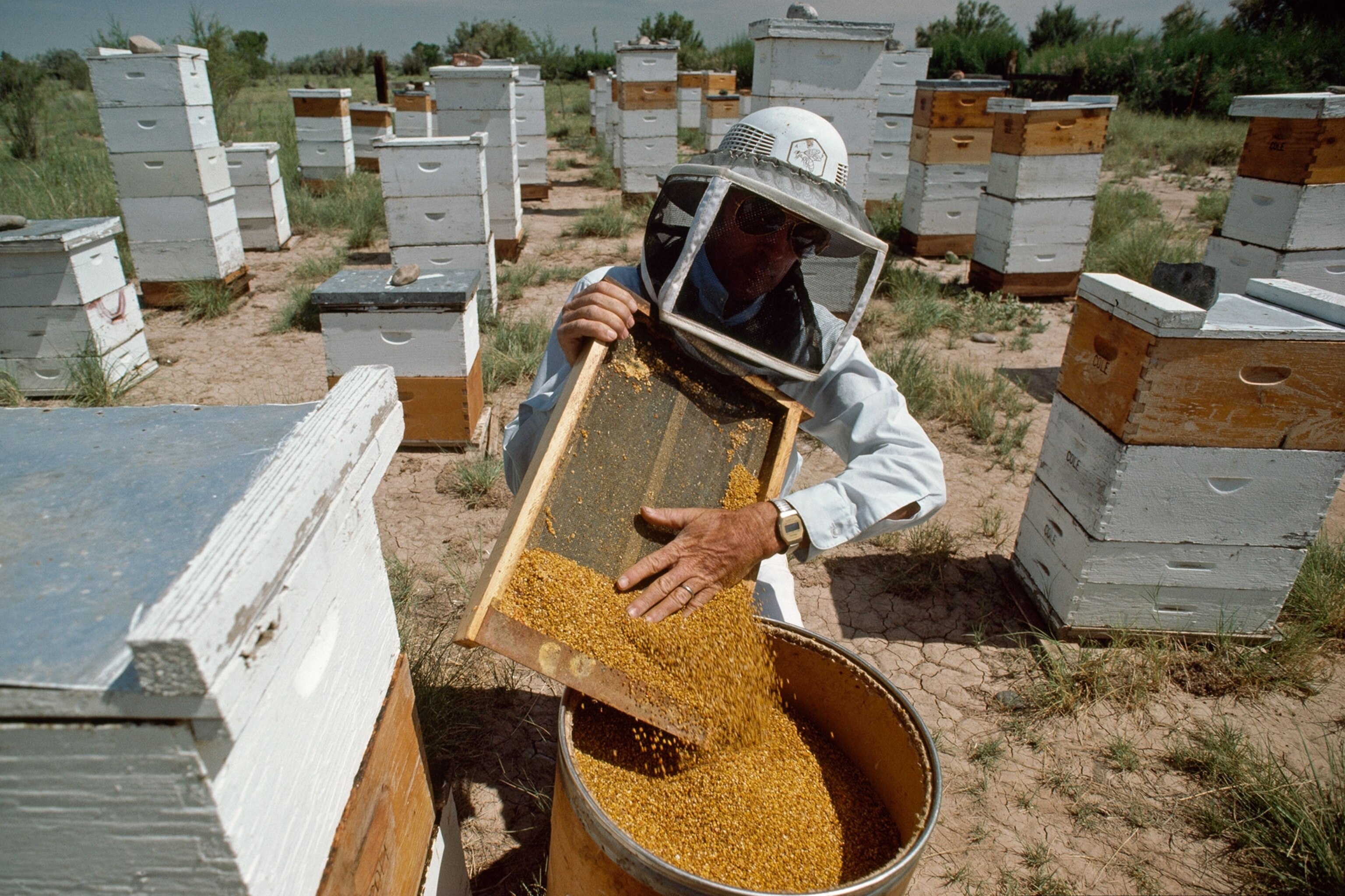 Climate Change Is Making Your Allergies Even Worse