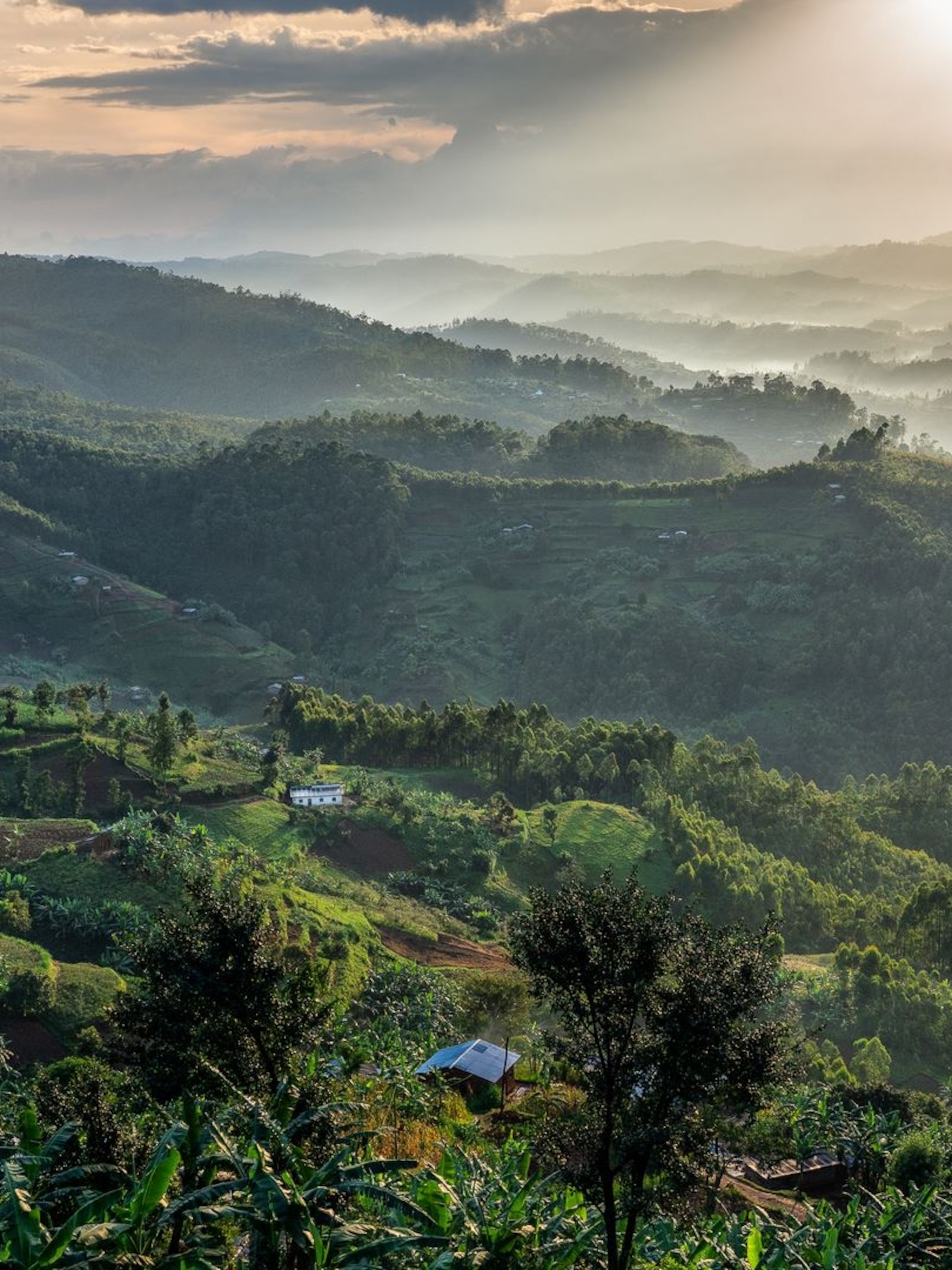 Rwanda Landscape