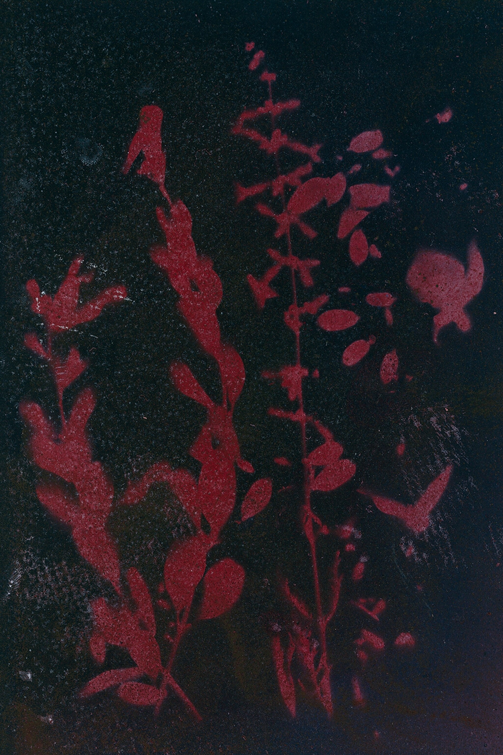 Honoring the sacred places they were forced to leave behind